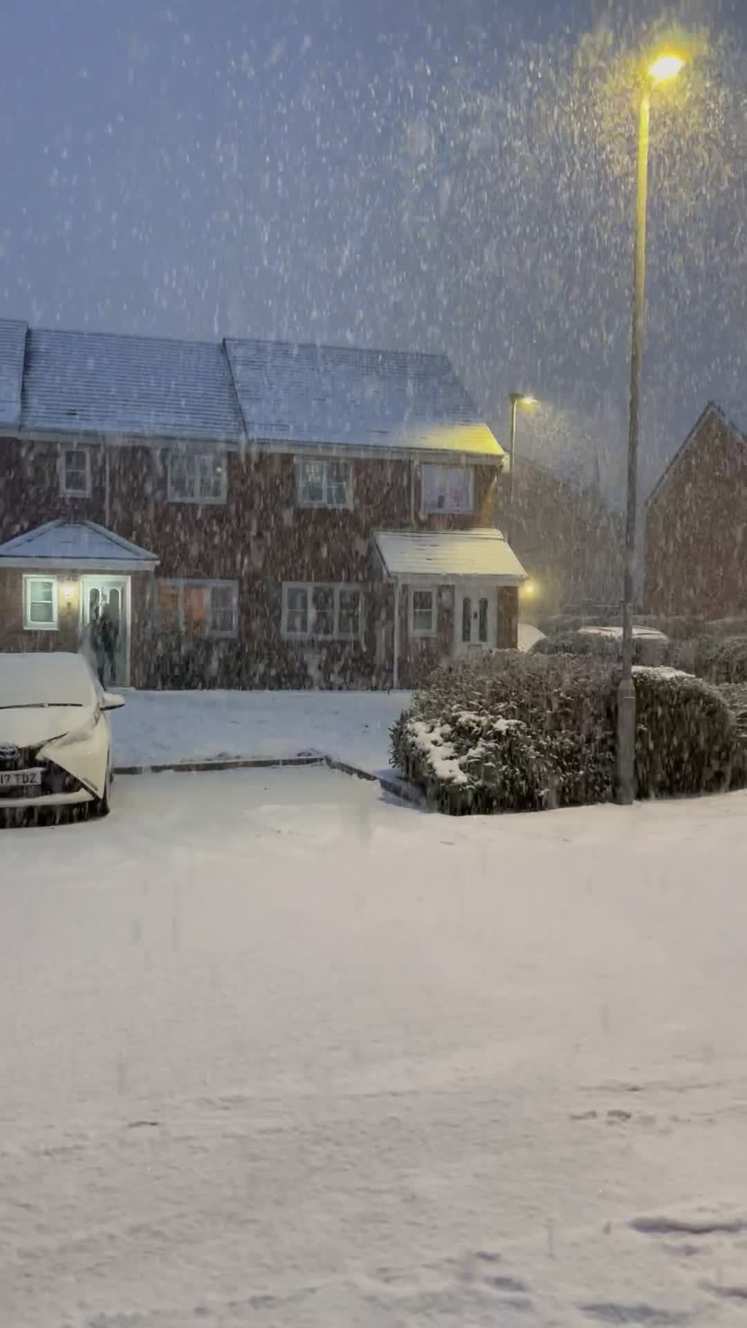 Snowfall on a Suburban Street at Nightfall Free Stock Video Footage ...