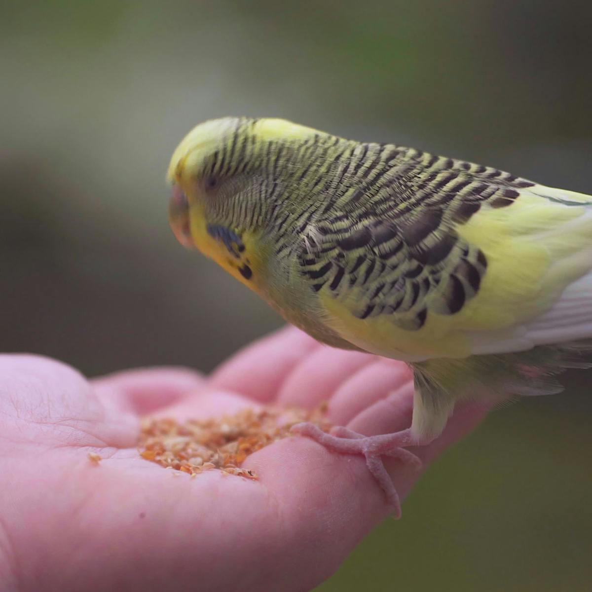 Lesbian+Eating+Grool Videos, Download The BEST Free 4k Stock Video ...