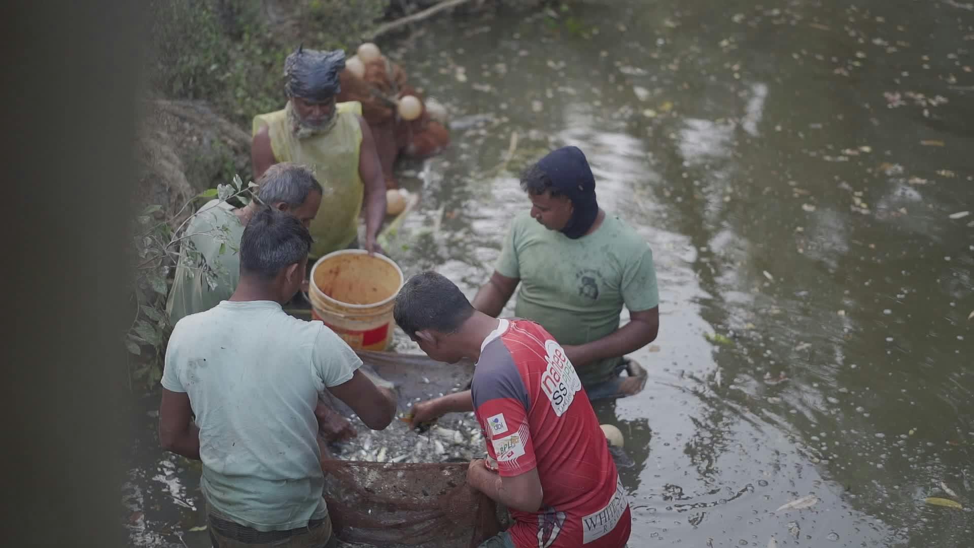 Flood Buckets Videos, Download The BEST Free 4k Stock Video Footage ...