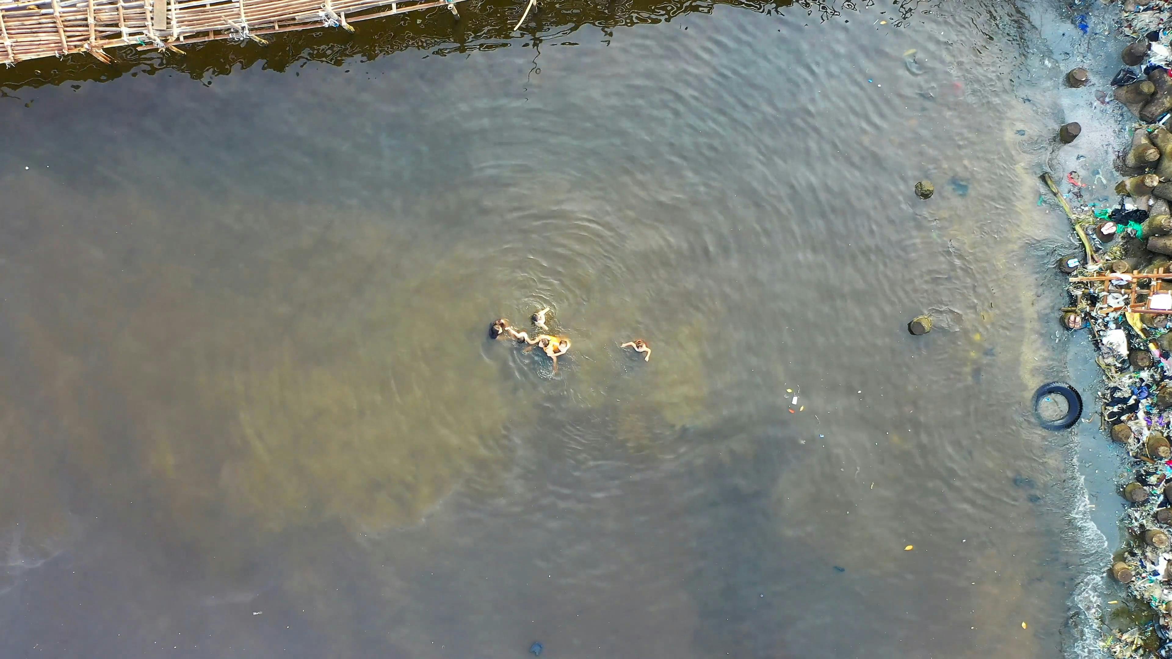 People Swimming In A Dirty Sea Water · Free Stock Video