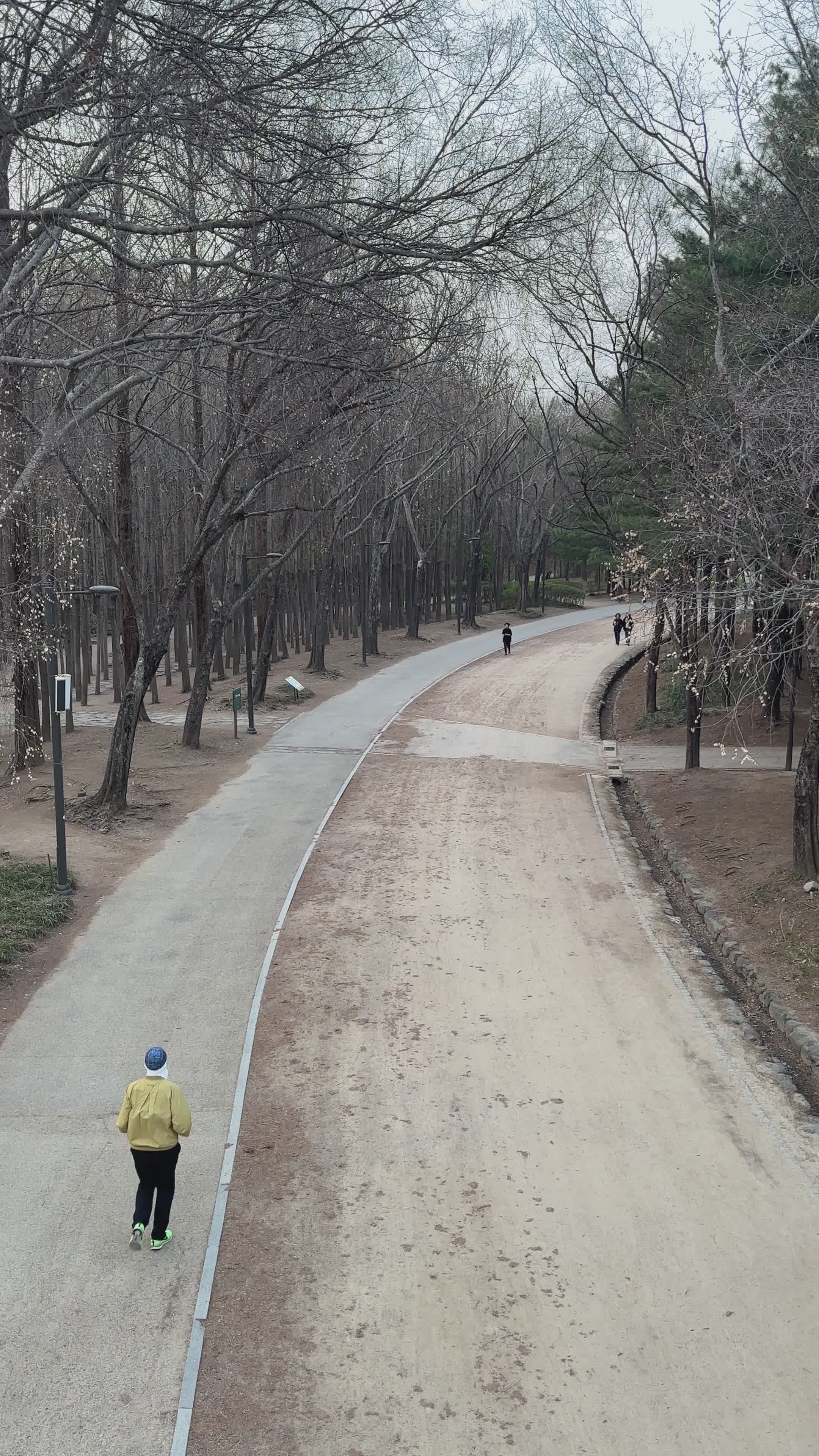 Paseo Tranquilo Por Un Sendero Tranquilo Del Parque · Vídeo de stock ...