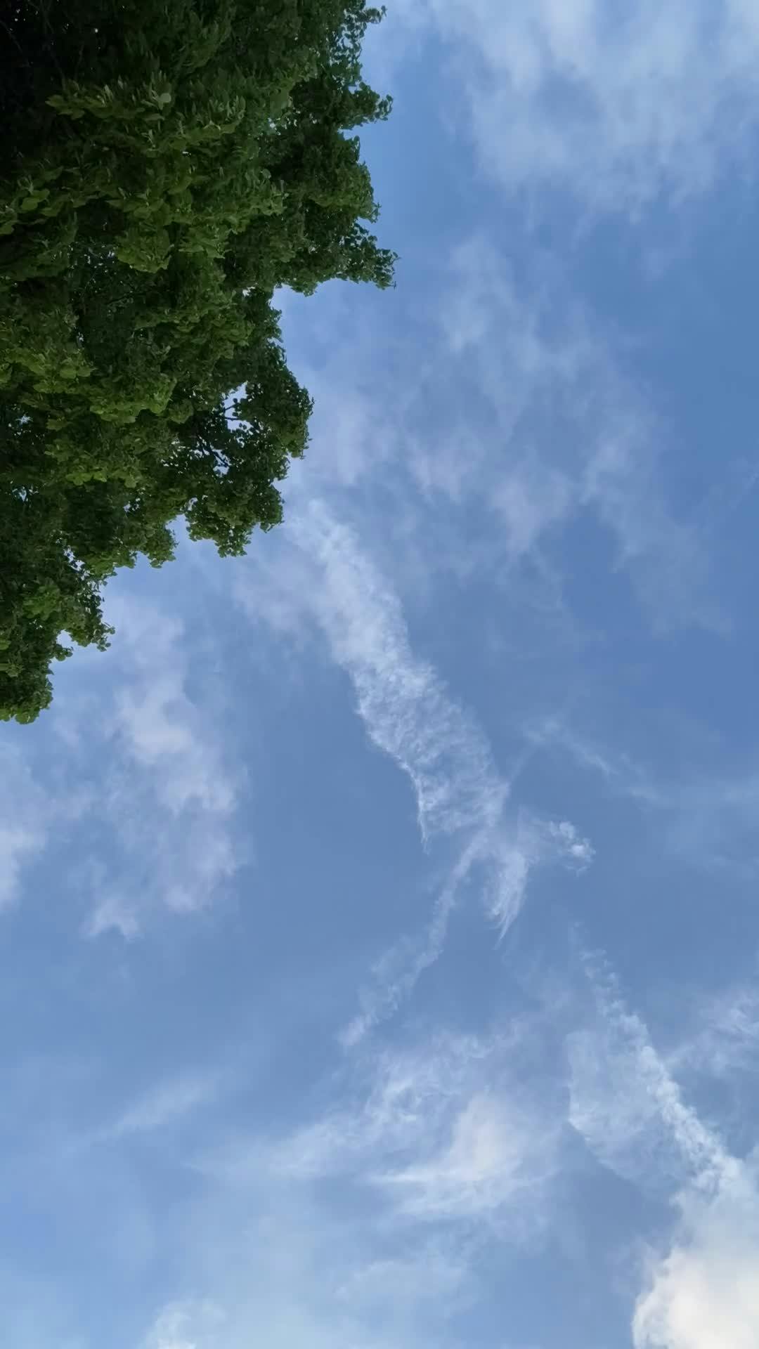 Anne Ve Mezun Videos, Download The BEST Free 4k Stock Video Footage ...