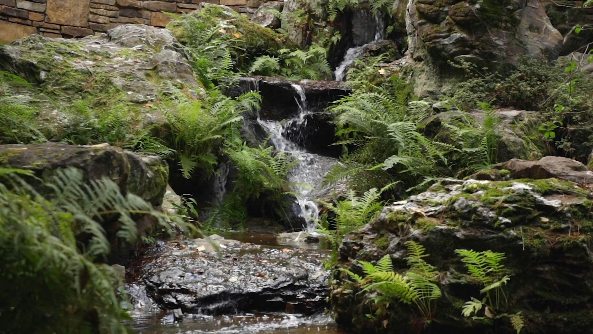 Water Flowing Free Stock Video Footage, Royalty-Free 4K & HD Video Clip