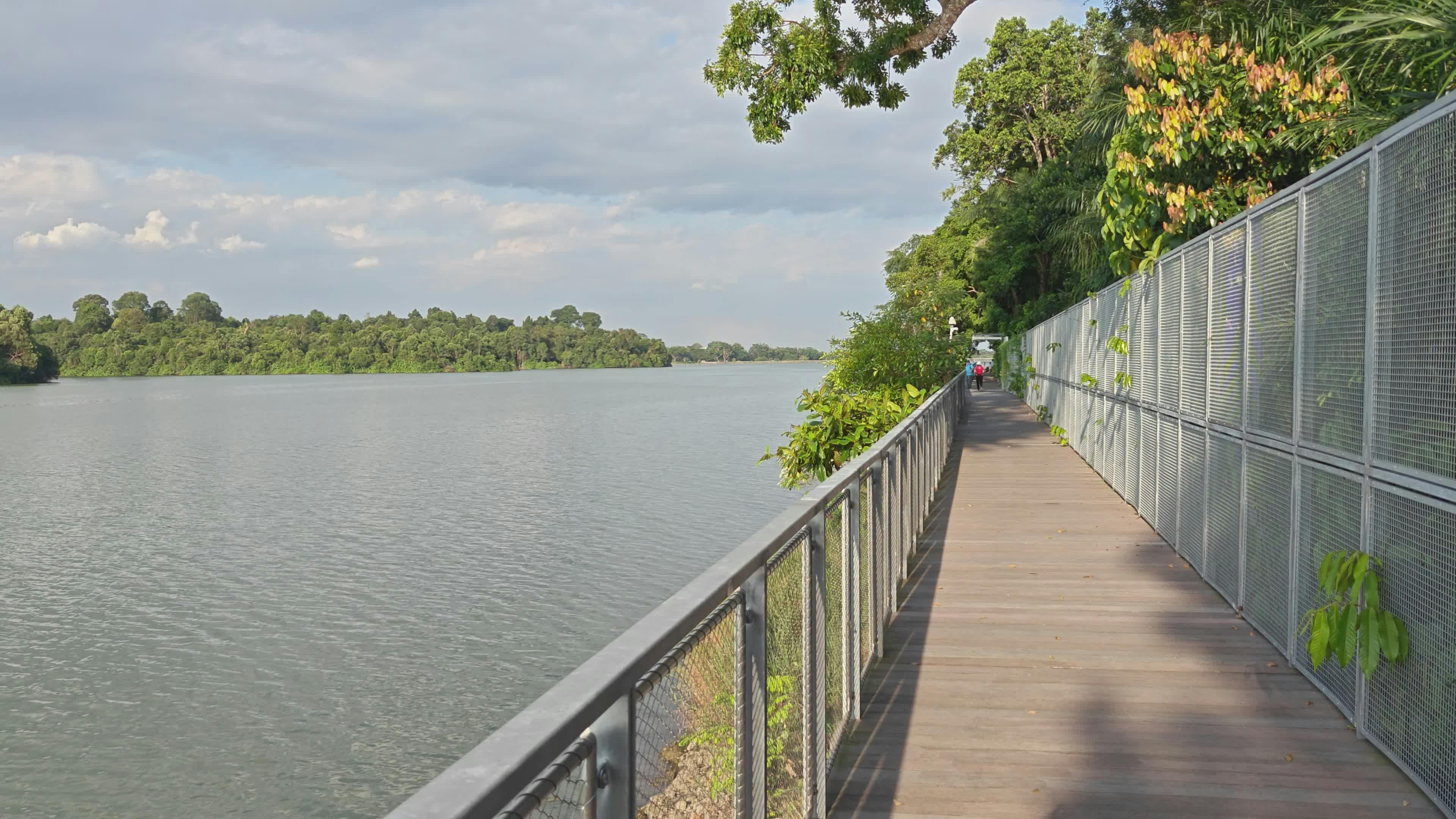 Scenic Riverside Walkway with Lush Greenery Free Stock Video Footage ...