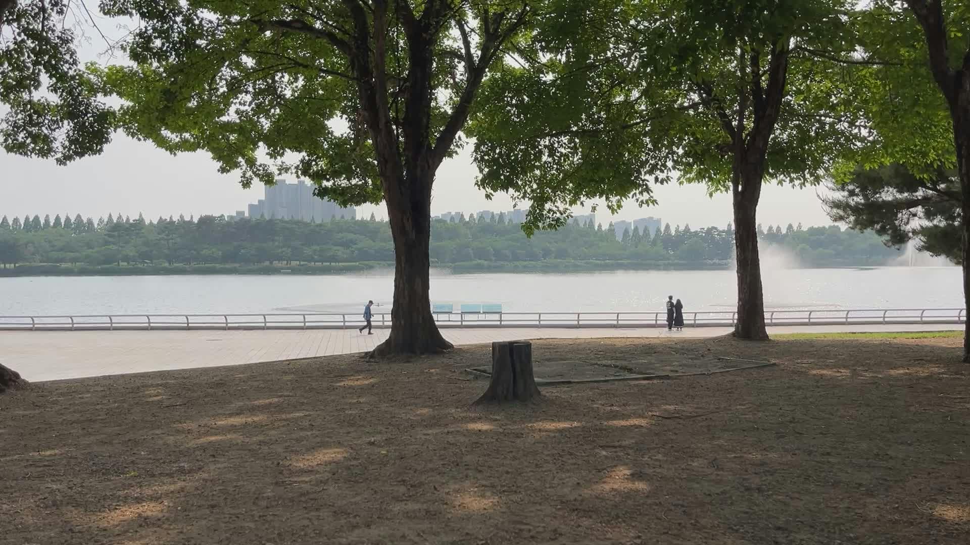Scenic Stroll at Ilsan Lake Park during Sunset Free Stock Video Footage ...