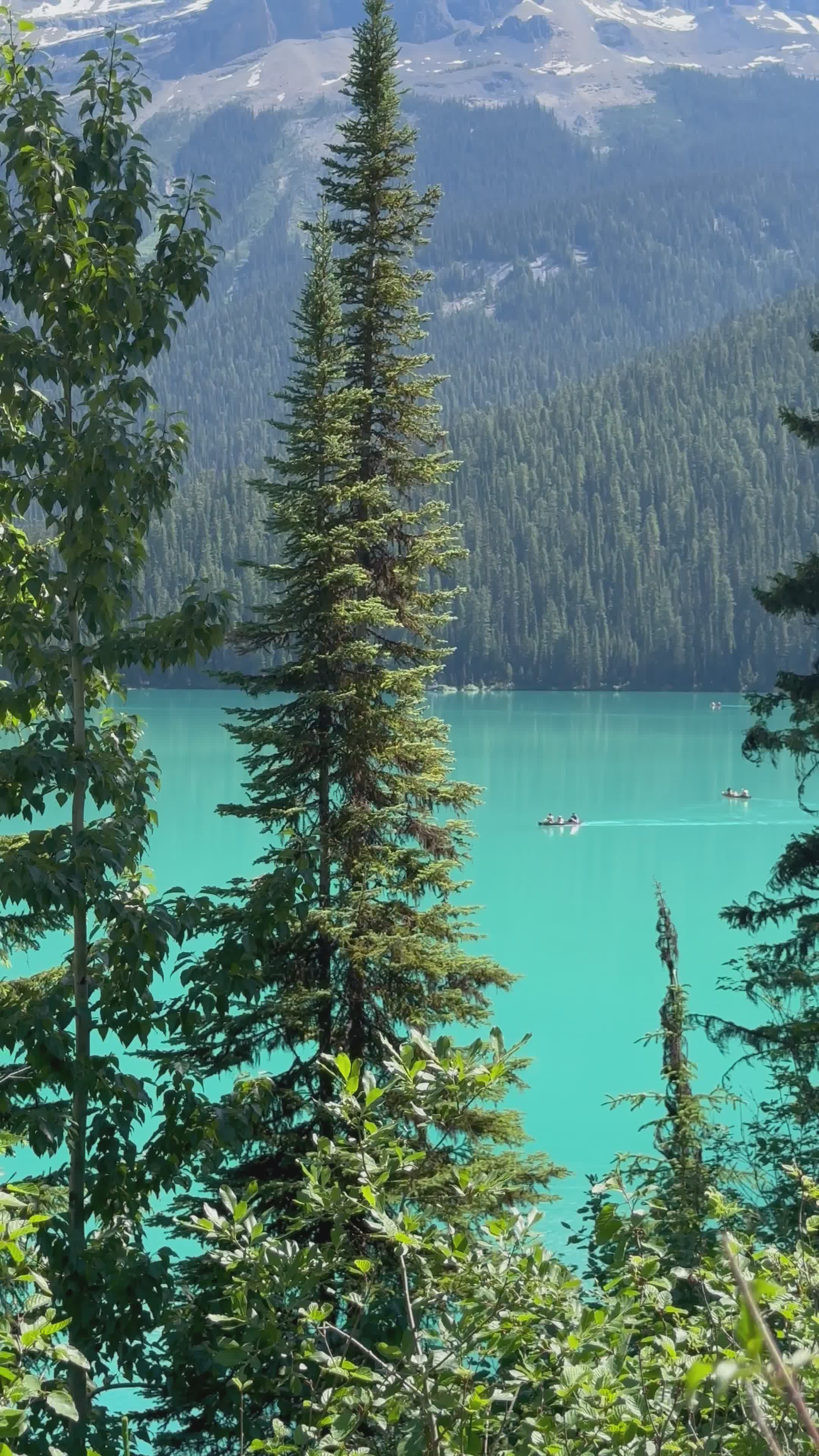 Scenic View of Emerald Lake in Summer Free Stock Video Footage, Royalty ...
