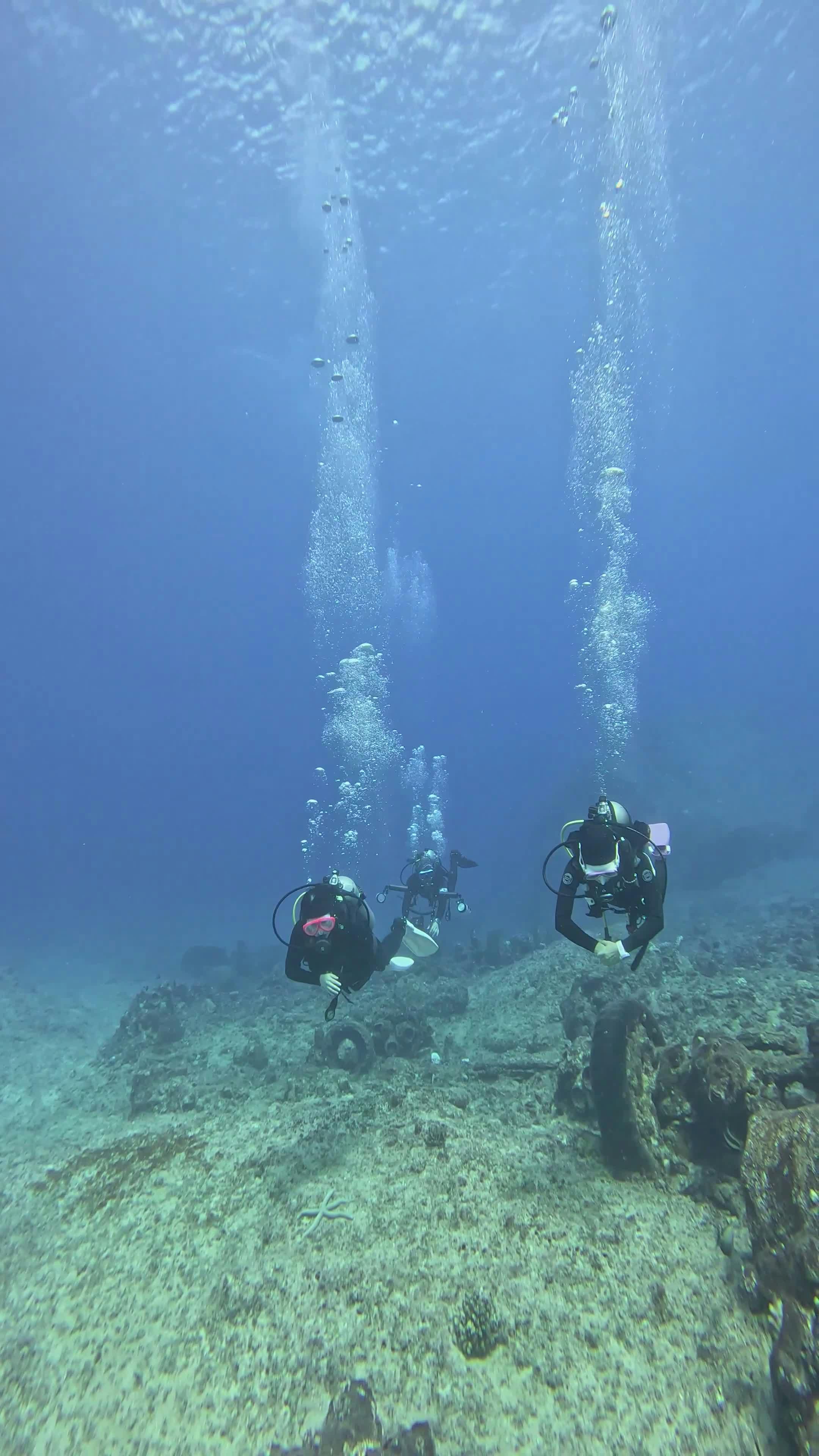 Pearl Diving Videos, Download The BEST Free 4k Stock Video Footage ...