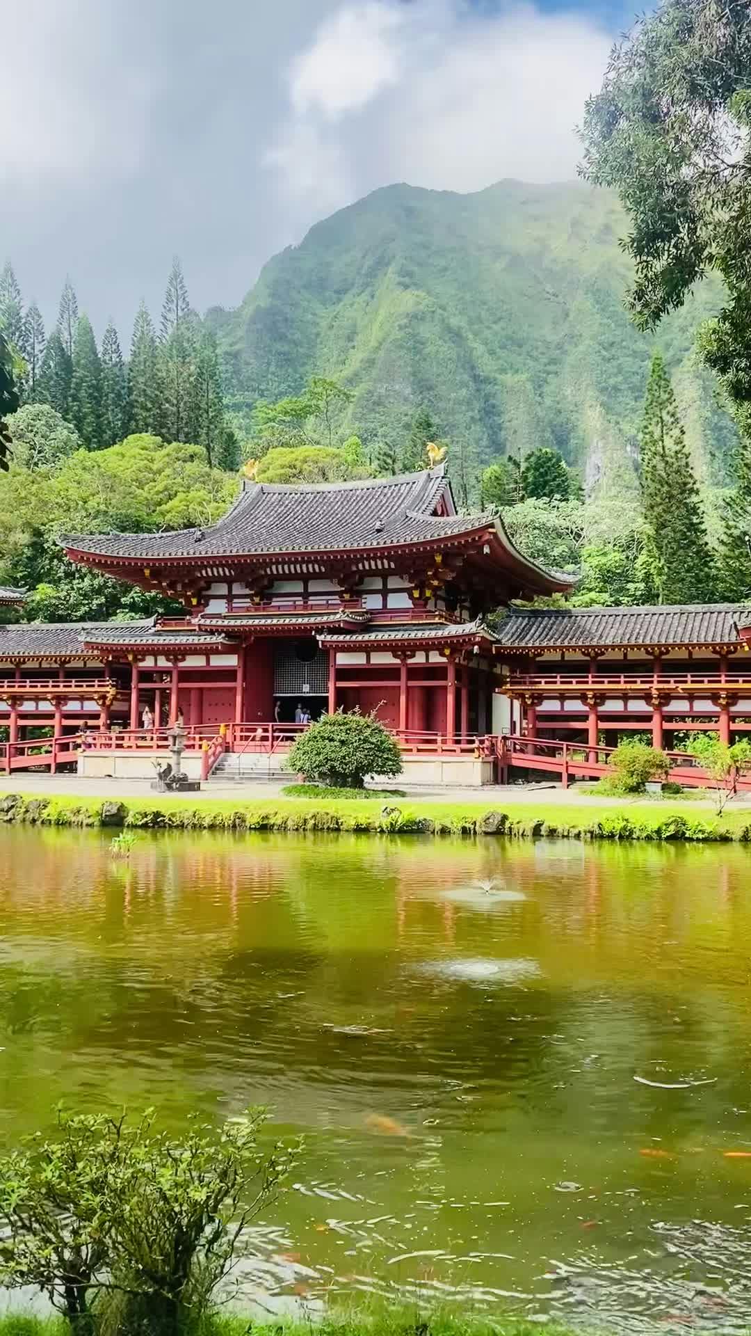 Vista Panorámica Del Templo Byodo In En Hawái · Vídeo de stock gratuito