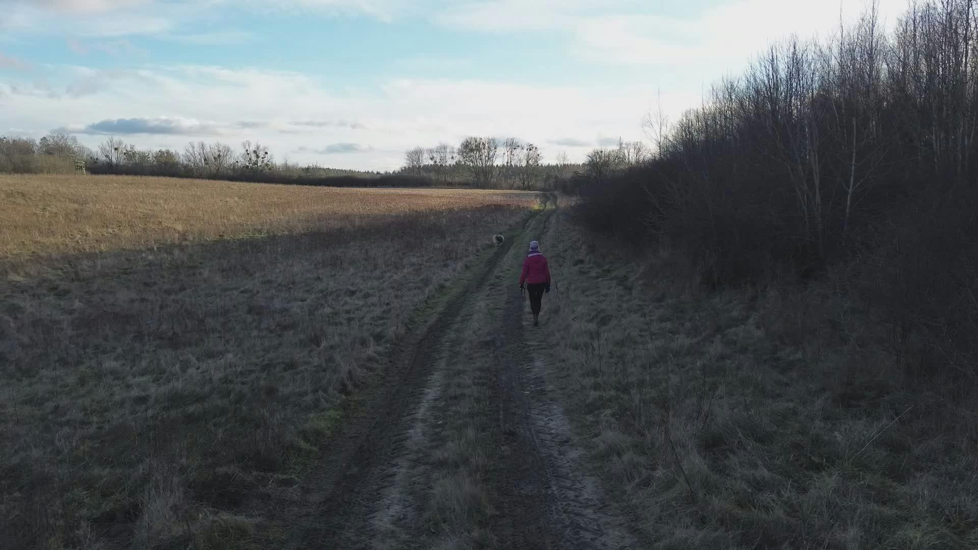 Freedom Trail Videos, Download The BEST Free 4k Stock Video Footage ...