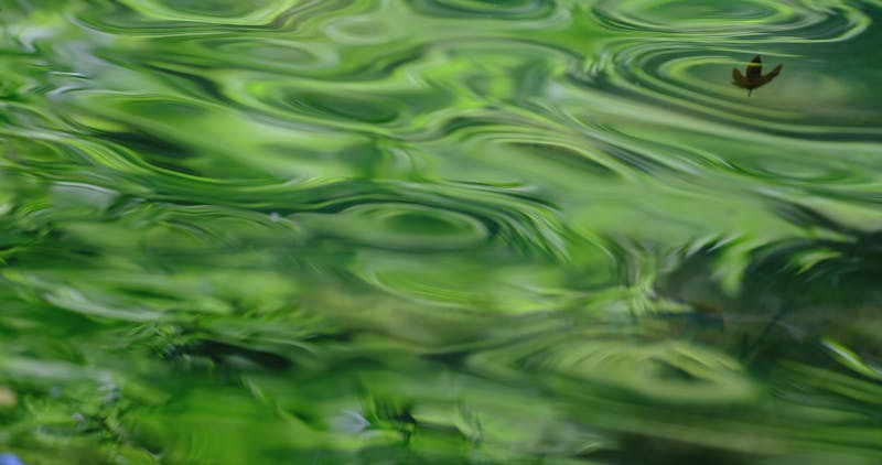 Motion Backgrounds Videos, Download The BEST Free 4k Stock Video ...