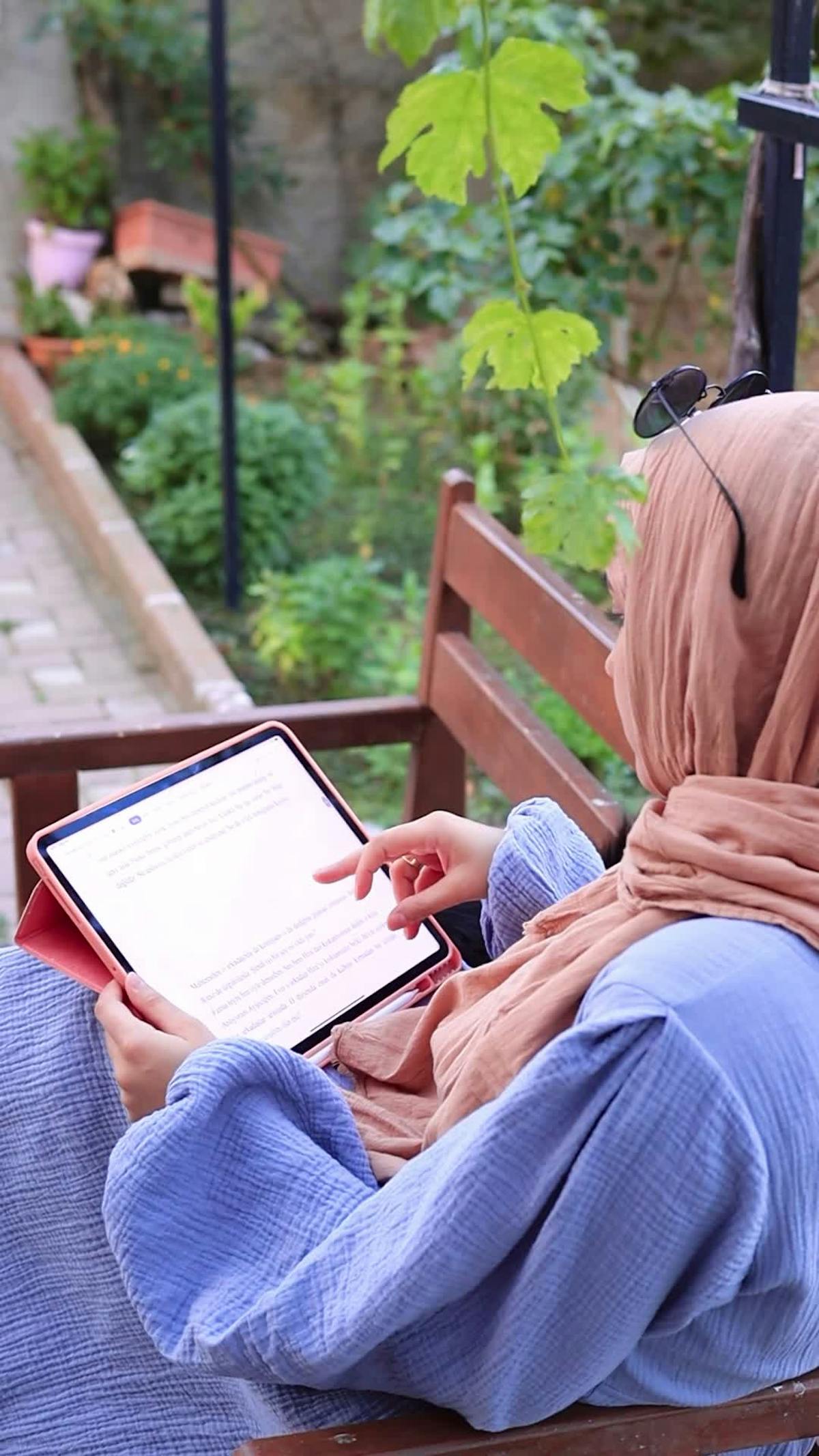 Cat Fighting Videos, Download The BEST Free 4k Stock Video Footage ...