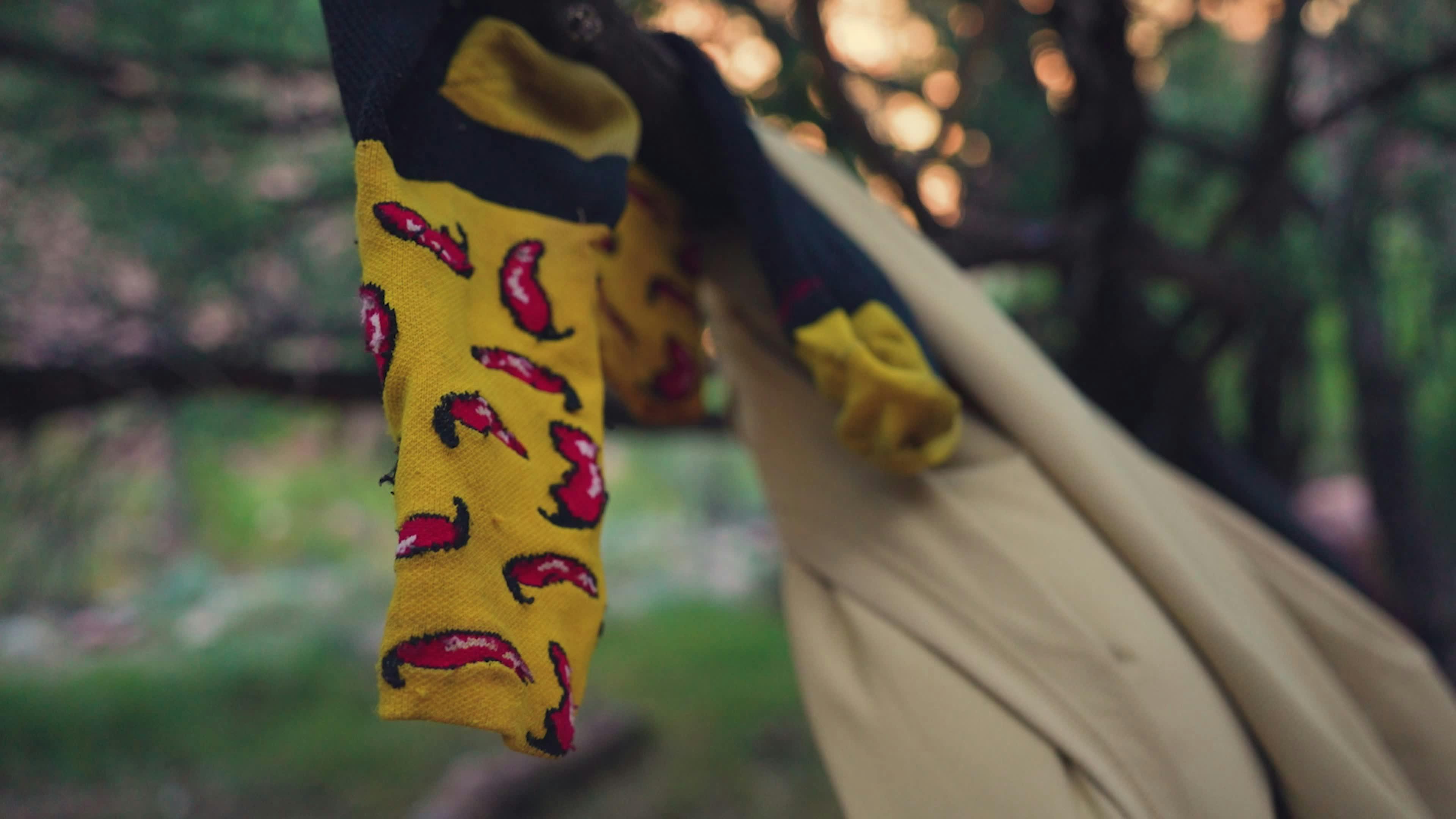 Clothes Drying on Tree in Peaceful Forest Setting Free Stock Video ...