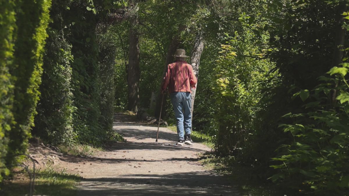 Calming Nature Videos, Download The BEST Free 4k Stock Video Footage ...