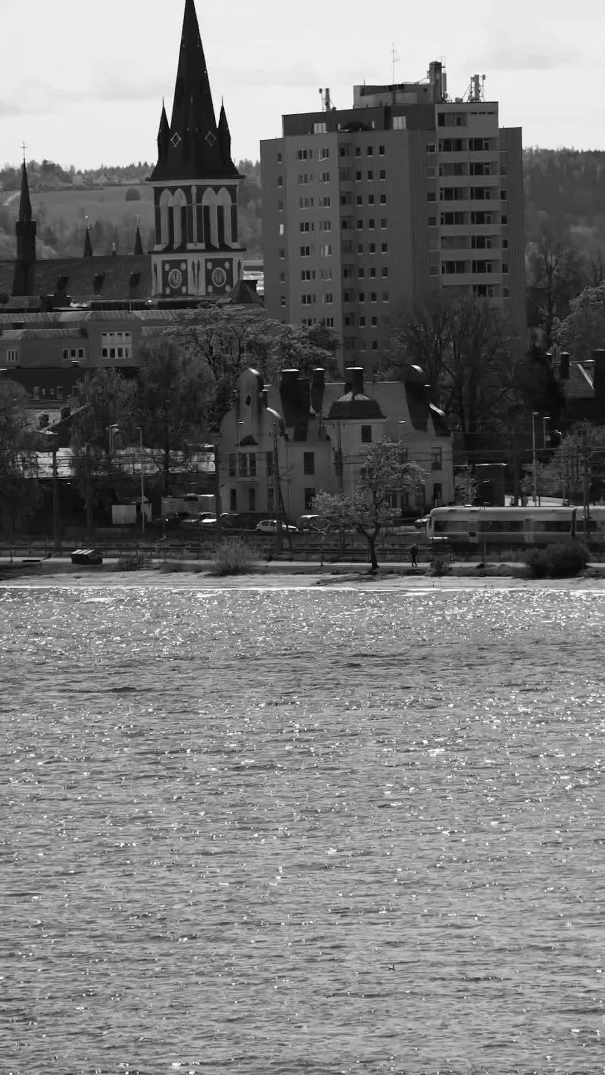 Videos Pixabay Videos, Download The BEST Free 4k Stock Video Footage ...