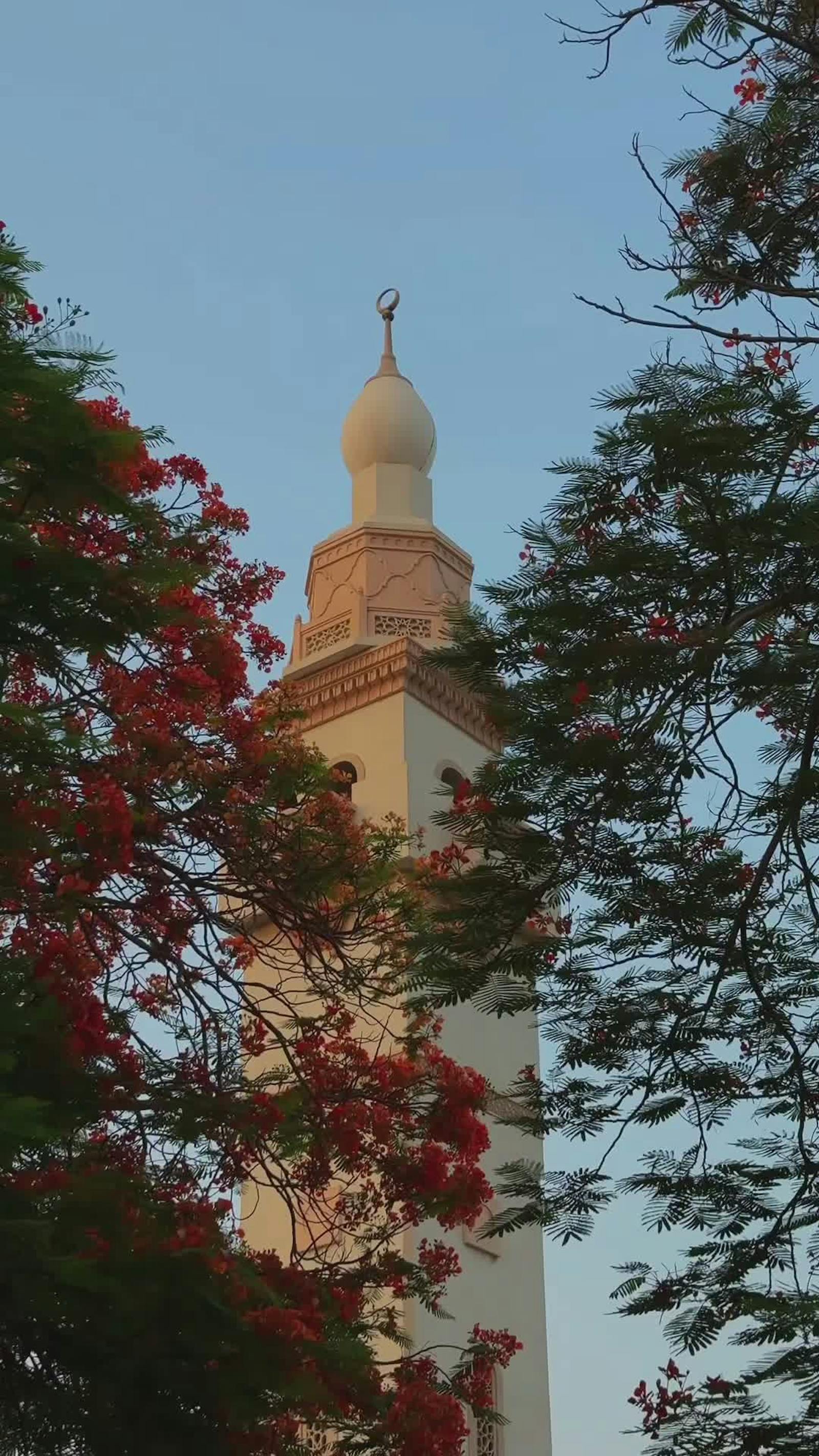 Eponer+Video Videos, Download The BEST Free 4k Stock Video Footage ...