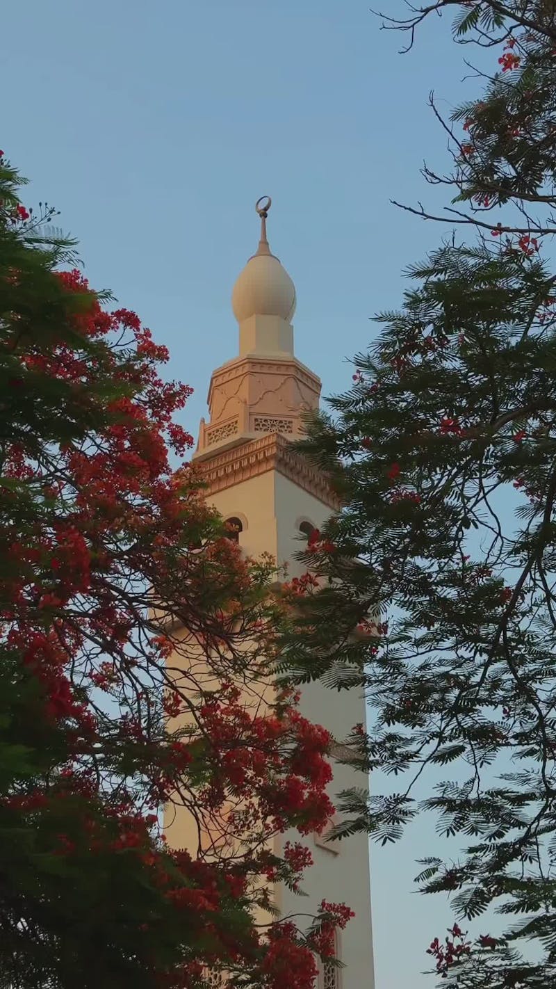 Chut+Chatne+Ka+Video+ Videos, Download The BEST Free 4k Stock Video ...