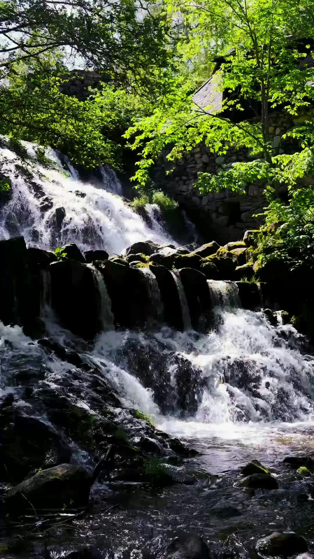 Pixabay Videos, Download The BEST Free 4k Stock Video Footage & Pixabay ...