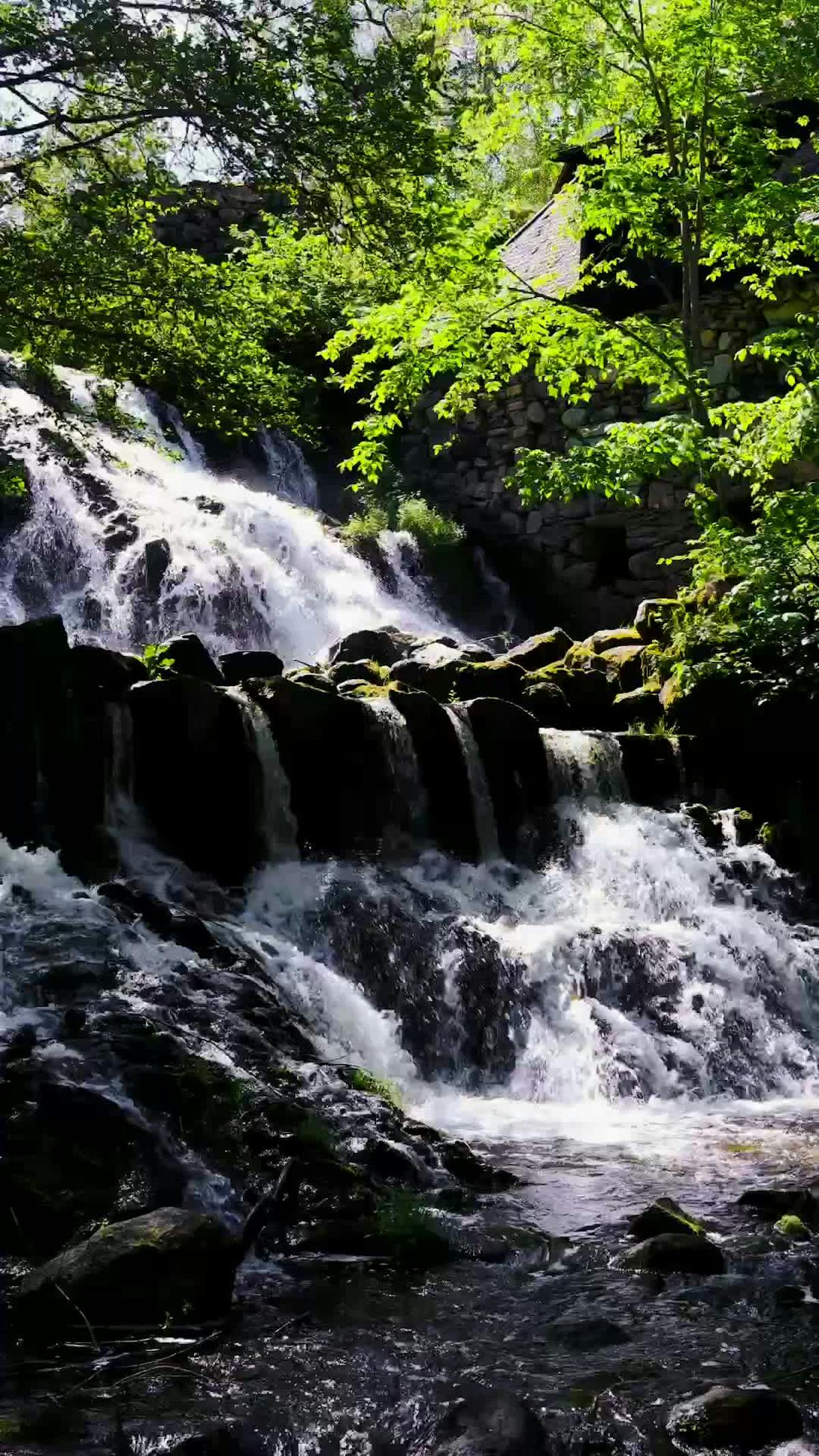 Pixabay Videos, Download The BEST Free 4k Stock Video Footage & Pixabay ...