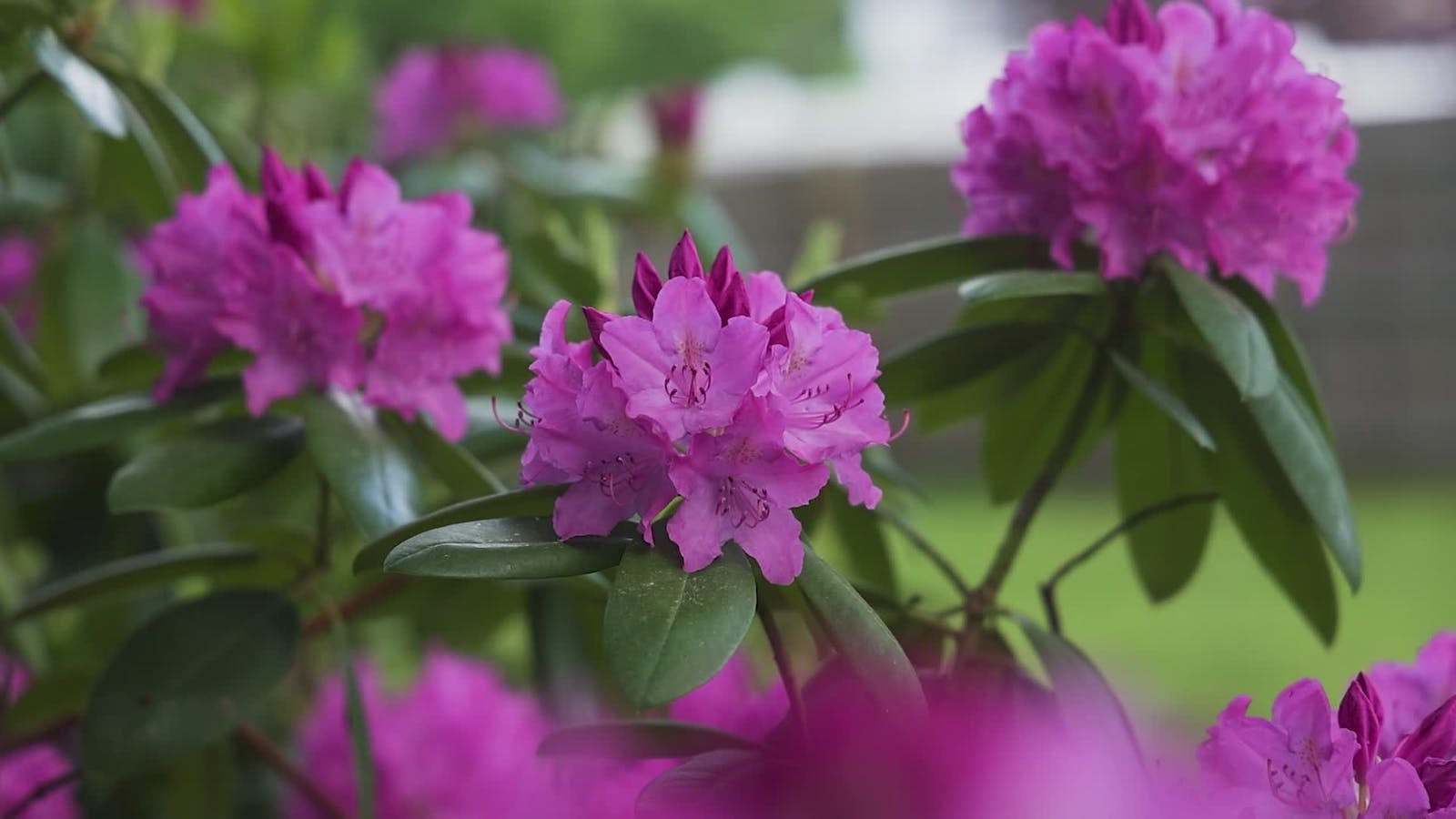 240 Fps Videos, Download The BEST Free 4k Stock Video Footage & 240 Fps ...