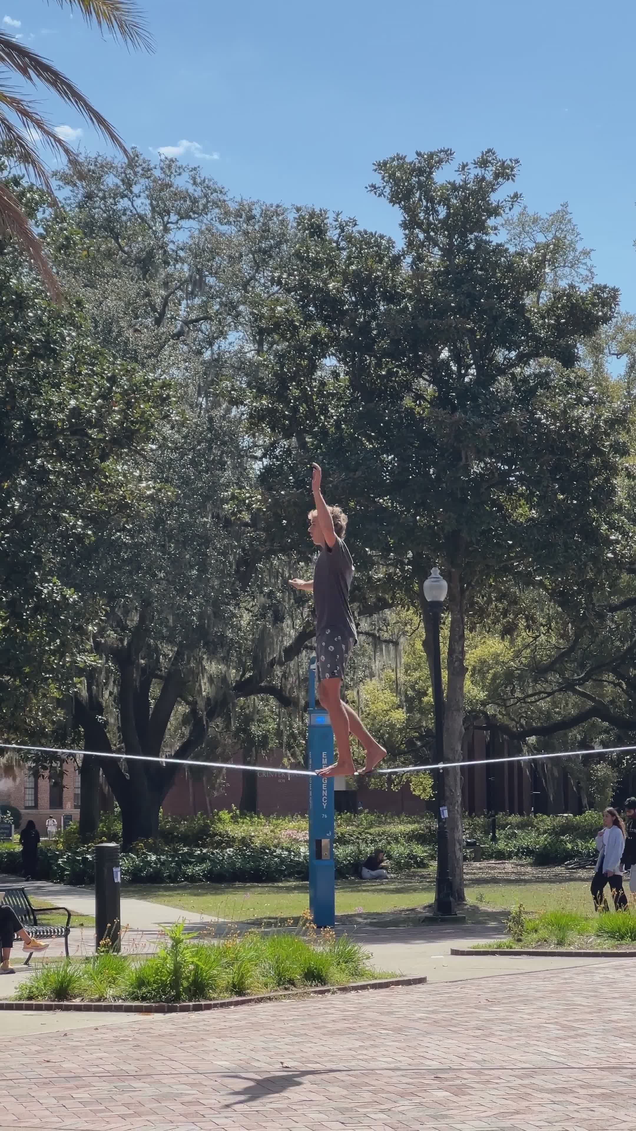 Slackline Performer in Sunny Park Setting Free Stock Video Footage ...