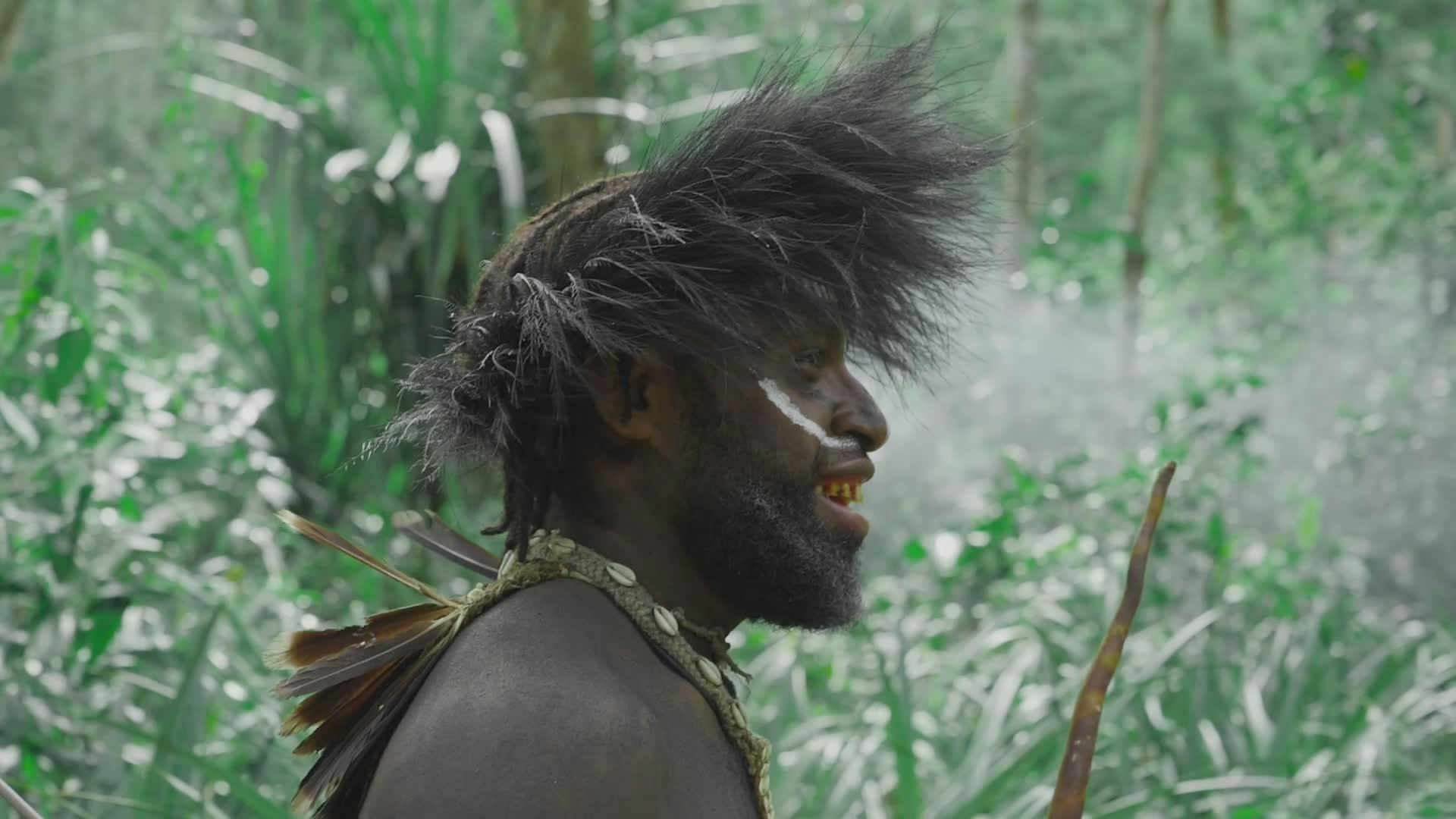 Primitive Videos, Download The BEST Free 4k Stock Video Footage ...