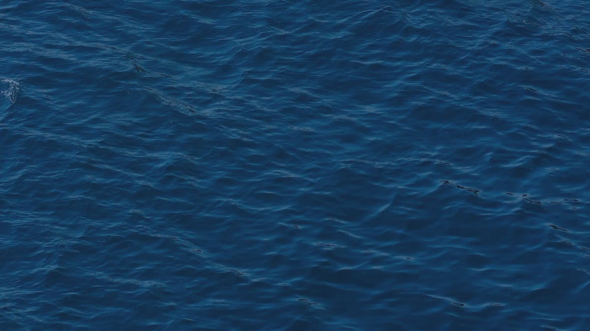 Motion Backgrounds Videos, Download The BEST Free 4k Stock Video ...