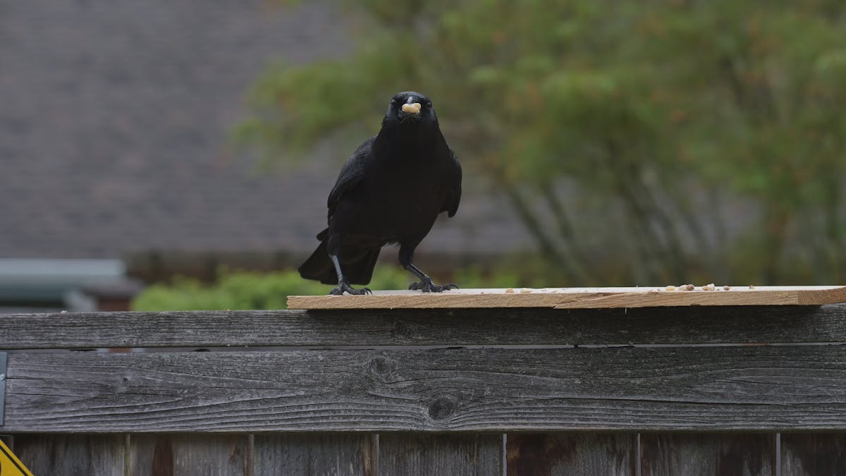 Lesbian+Eating+Grool Videos, Download The BEST Free 4k Stock Video ...