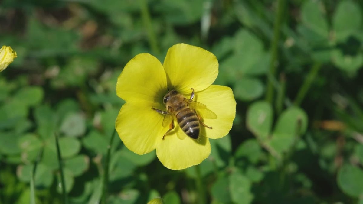 Slow+Passionate+Foreplay+Gif Videos, Download The BEST Free 4k Stock ...