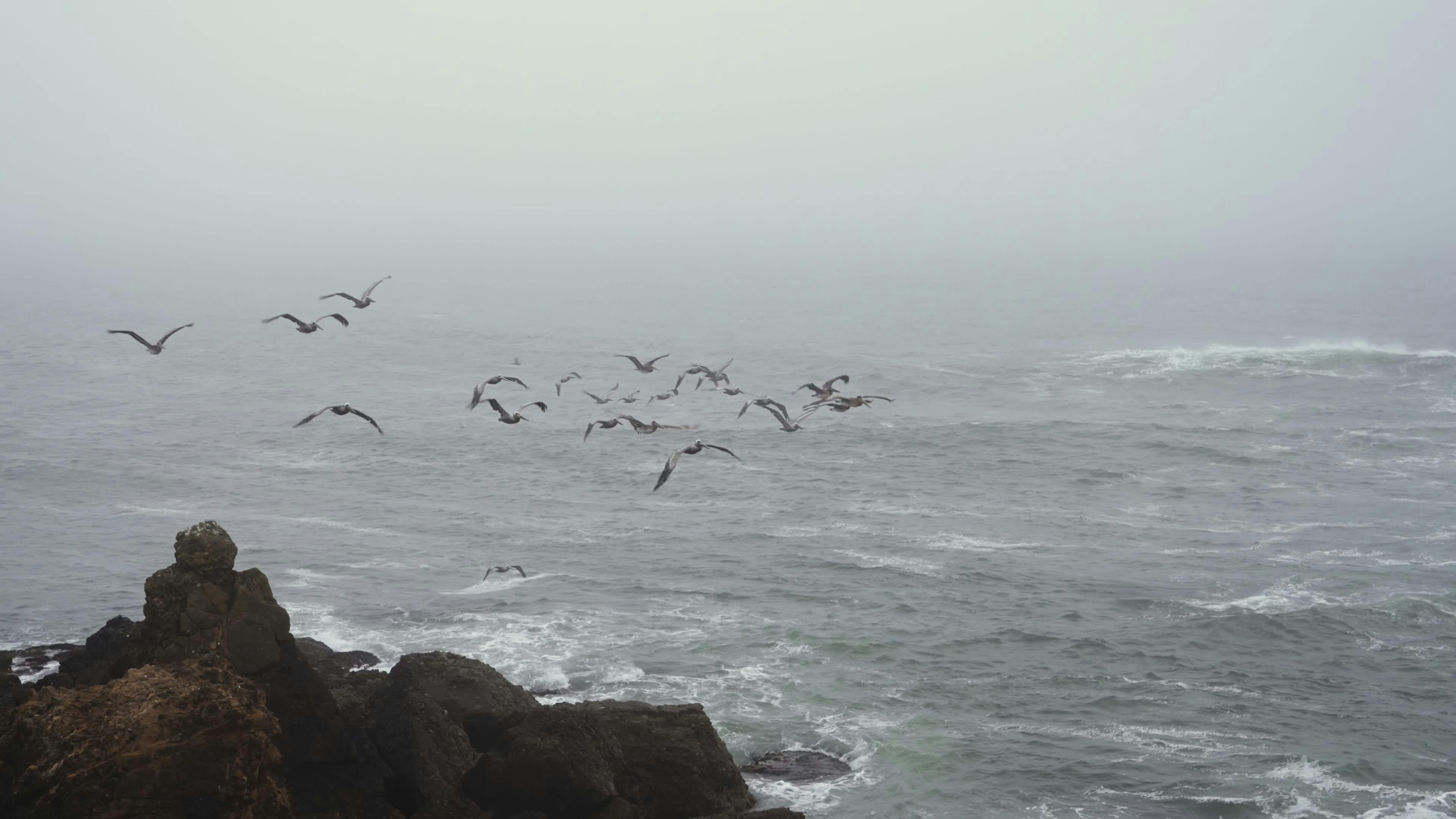 Ocean Storm Vfx Videos, Download The BEST Free 4k Stock Video Footage ...