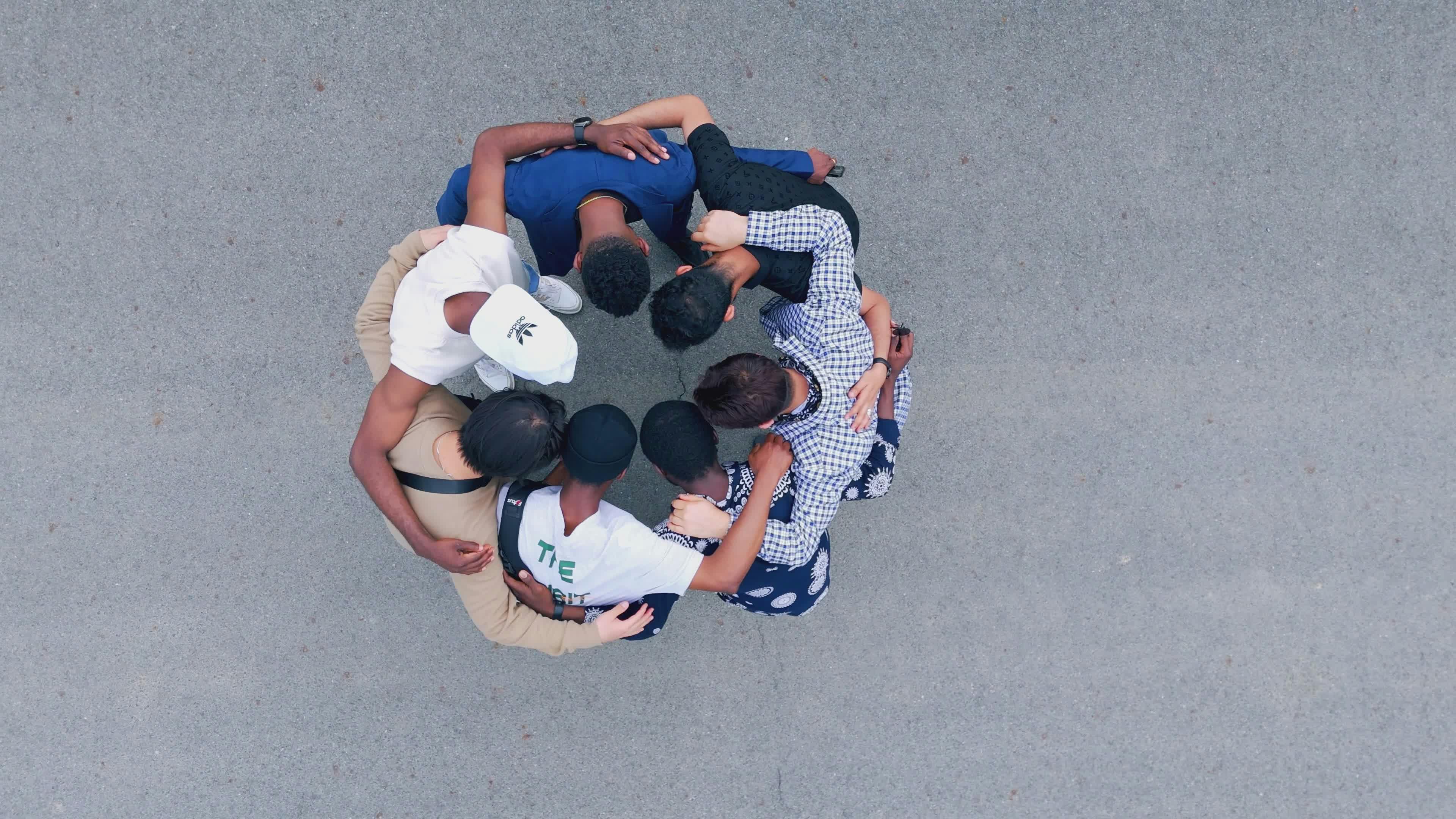 Tiger Meeting Videos, Download The BEST Free 4k Stock Video Footage ...