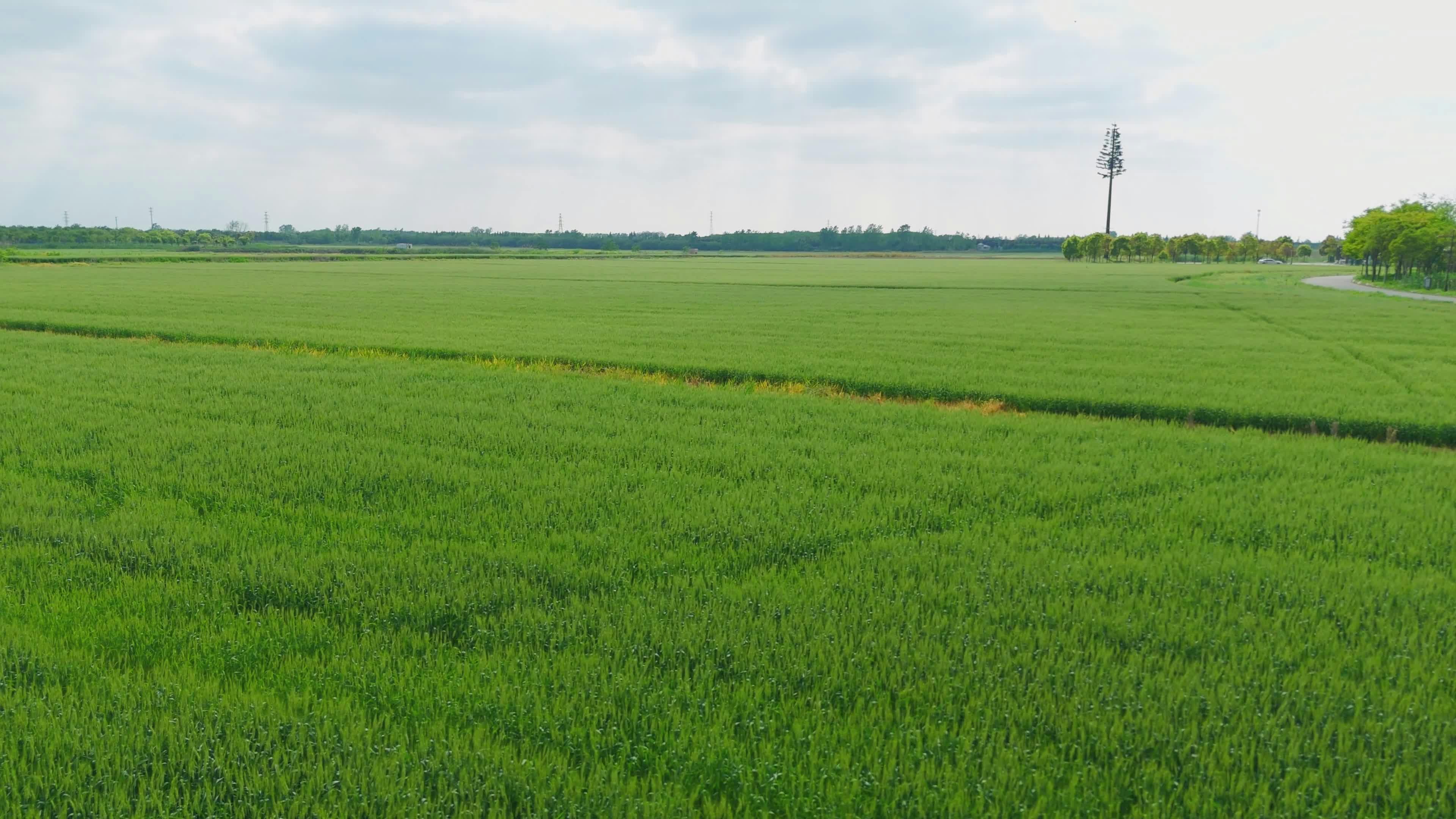 Vast Green Fields Under a Cloudy Sky Free Stock Video Footage, Royalty ...
