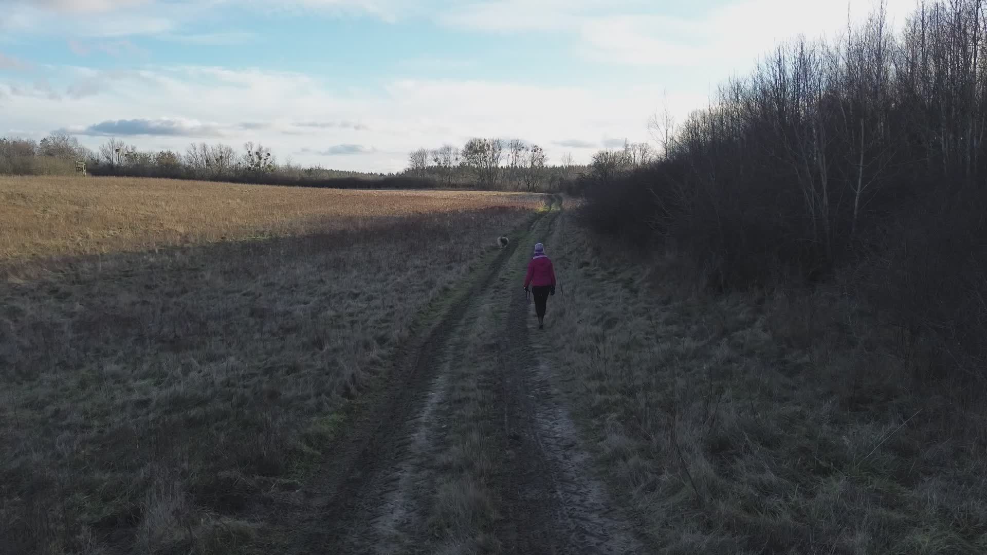 Solo Walk on Tranquil Rural Path at Sunset Free Stock Video Footage ...