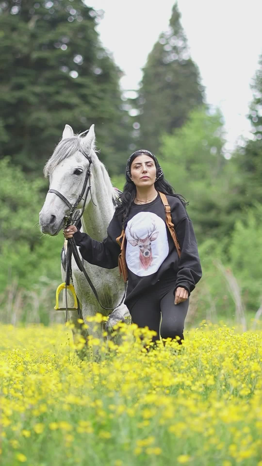 Horse Mating Videos, Download The BEST Free 4k Stock Video Footage ...