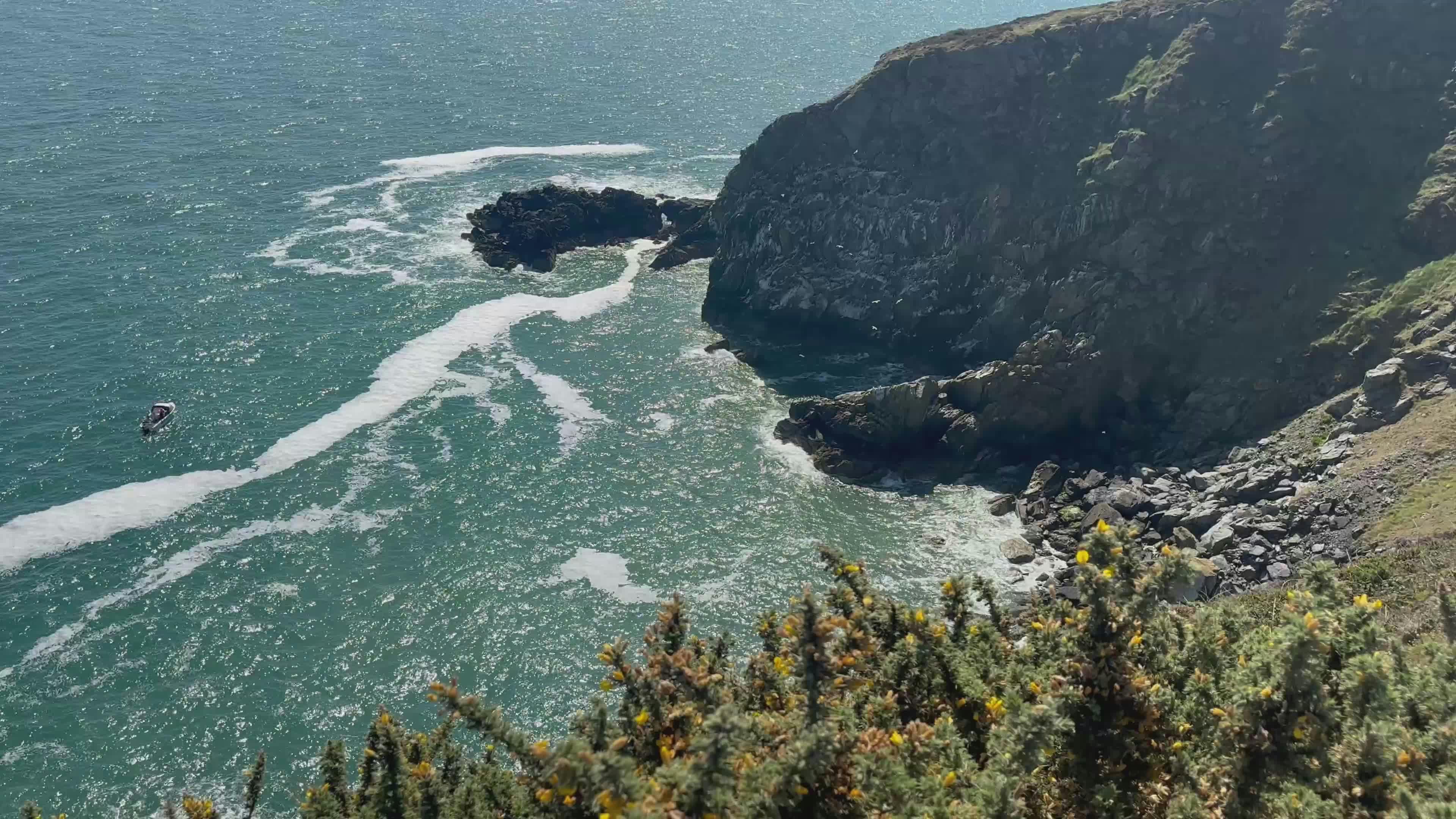 Huddle Formation Videos, Download The BEST Free 4k Stock Video Footage ...