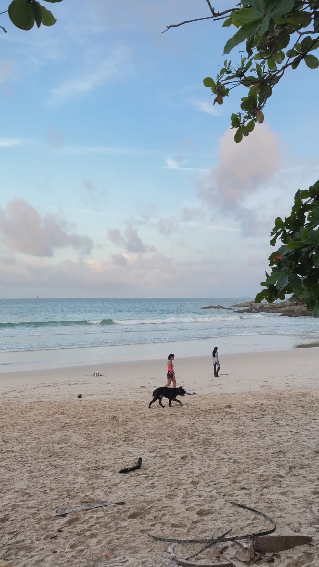 Beautiful Seashore Videos, Download The BEST Free 4k Stock Video ...