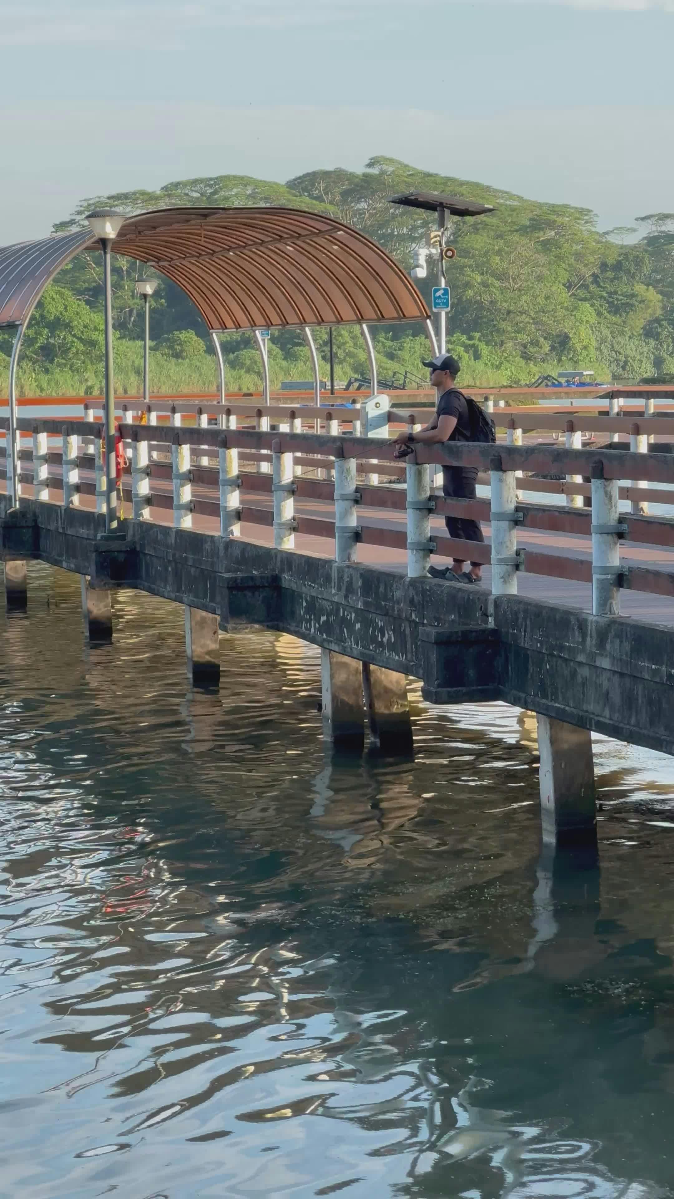 Tom Pier Videos, Download The BEST Free 4k Stock Video Footage & Tom ...