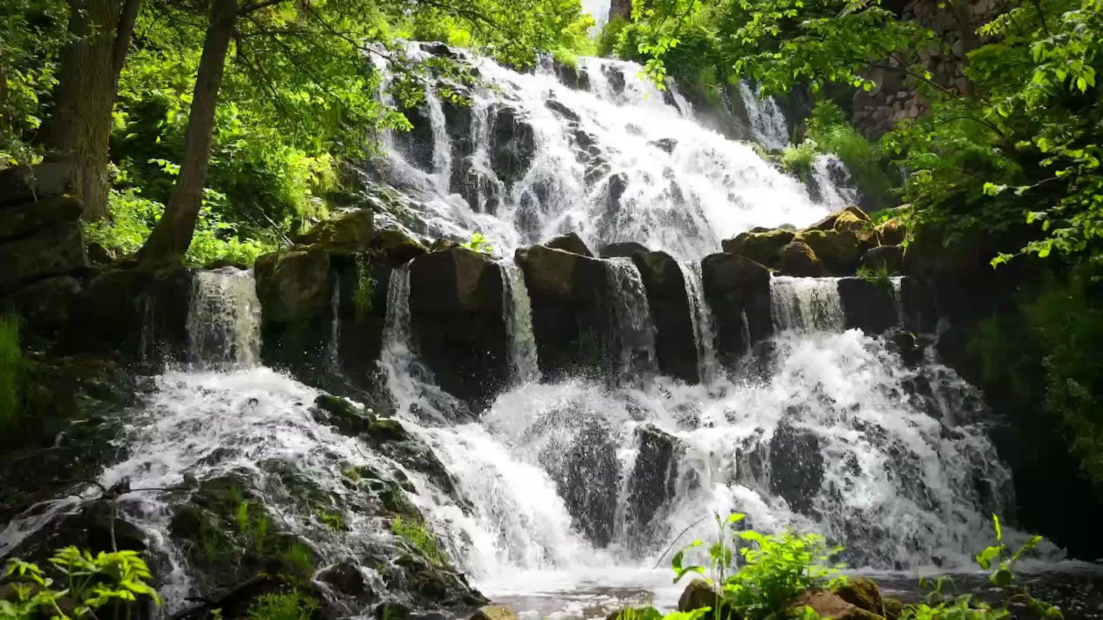 Videos Pixabay Videos, Download The BEST Free 4k Stock Video Footage ...