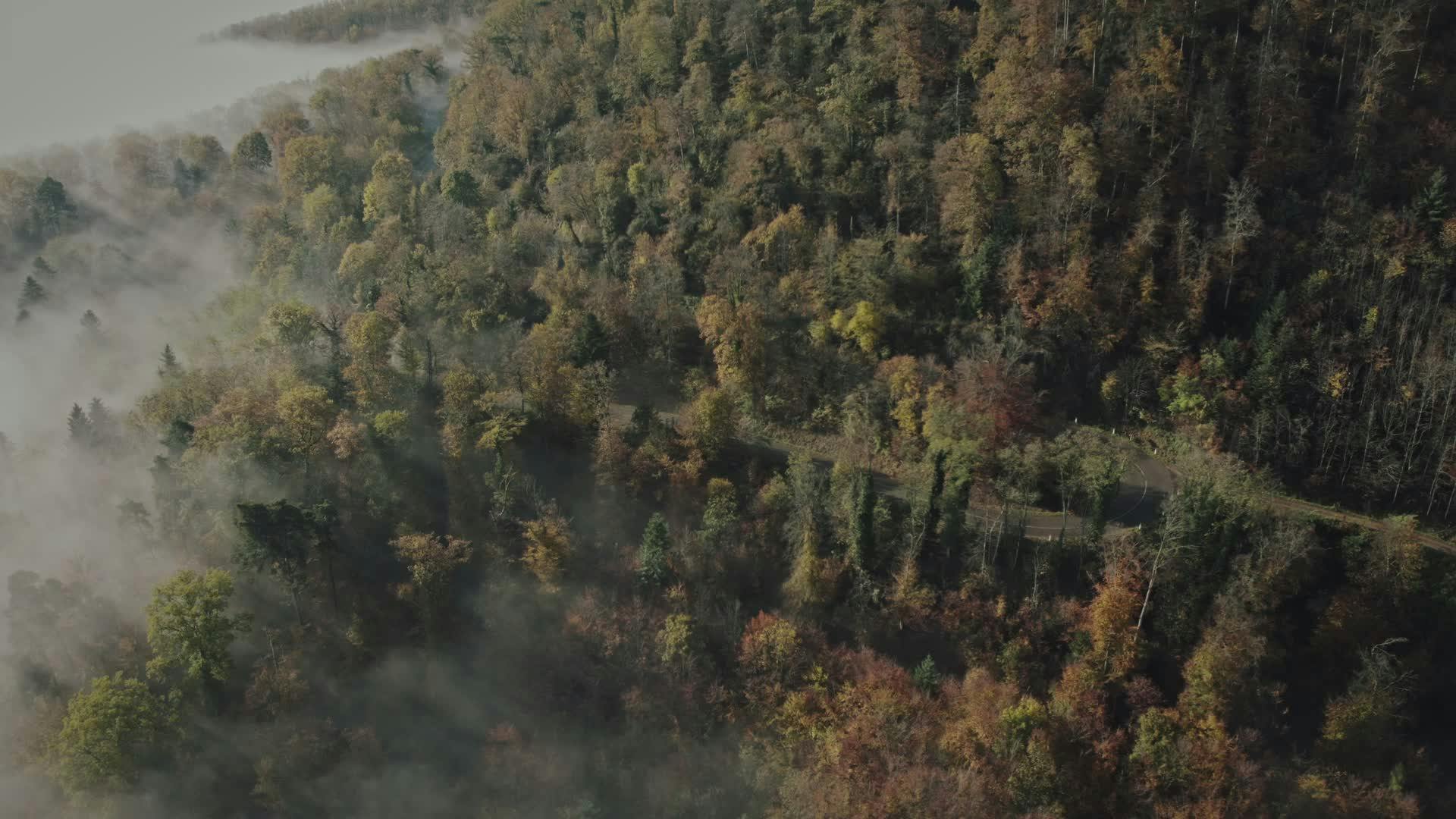 Michigen Scenic Wallpaper Videos, Download The BEST Free 4k Stock Video ...