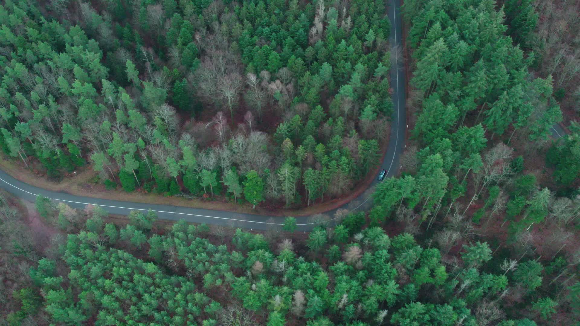 Aerial View of Car Driving Through Forest in Fall Free Stock Video ...