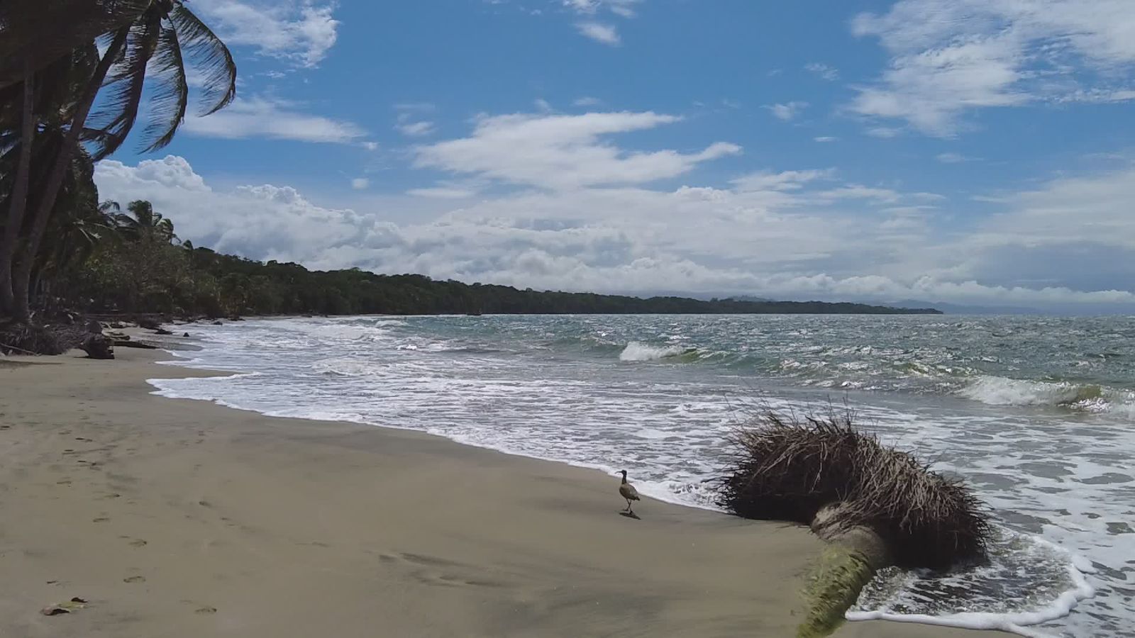 Beach Loop Videos, Download The BEST Free 4k Stock Video Footage ...