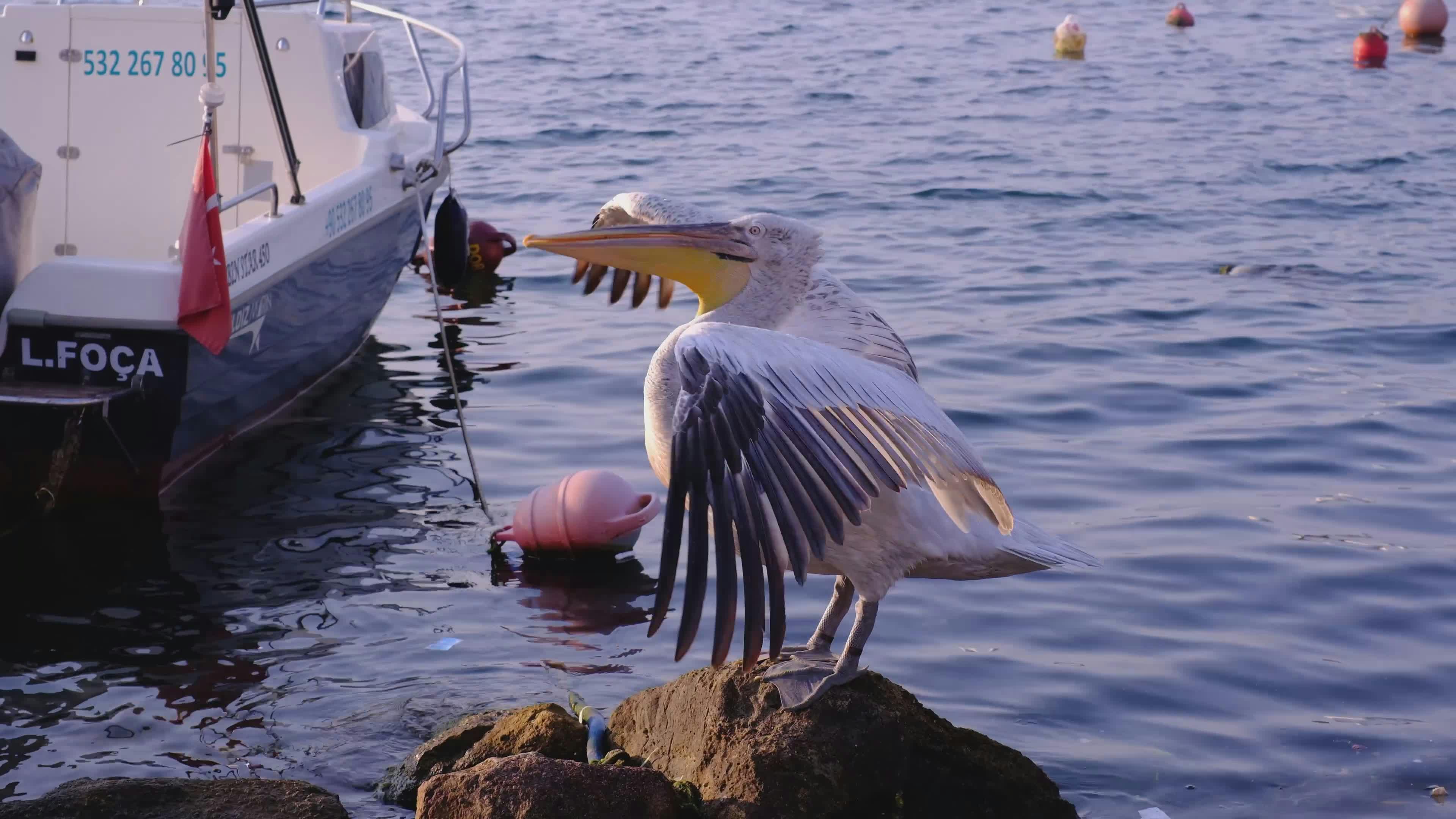 Spread+Teen+Asses Videos, Download The BEST Free 4k Stock Video Footage ...