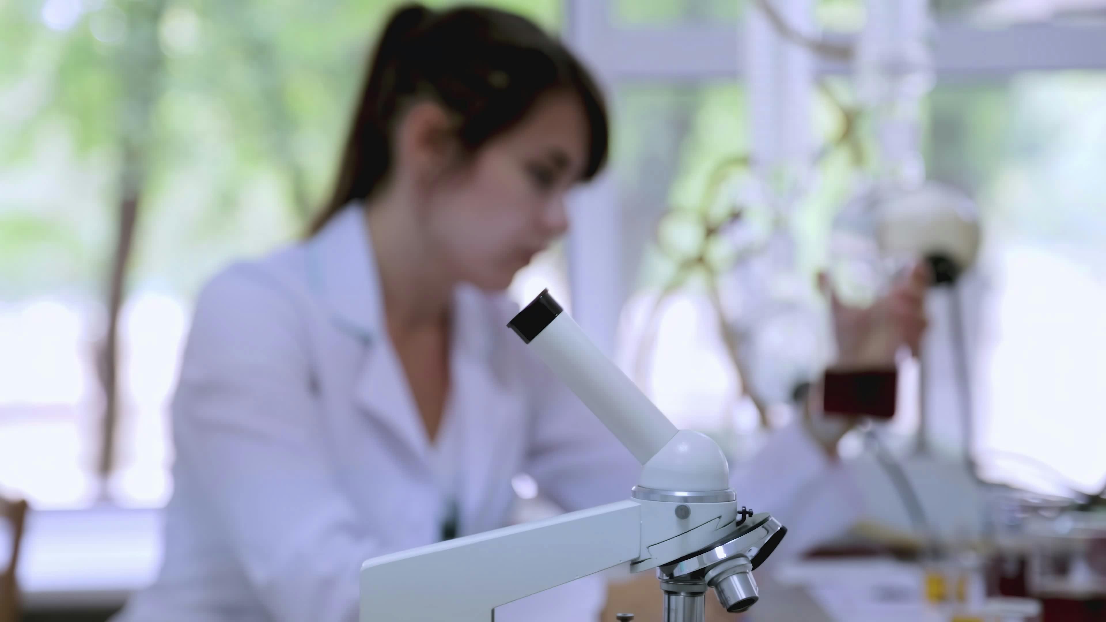 Female Scientists in Laboratory with Microscopes Free Stock Video Footage, Royalty-Free 4K & HD ...