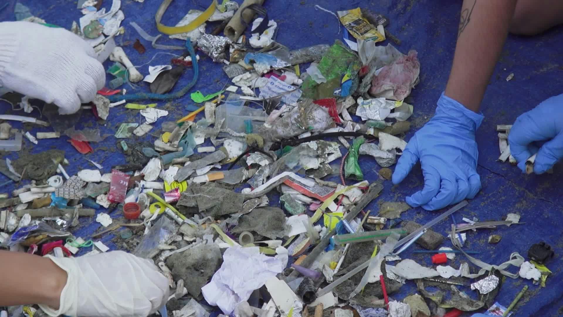 Waste Pollution Videos, Download The BEST Free 4k Stock Video Footage ...