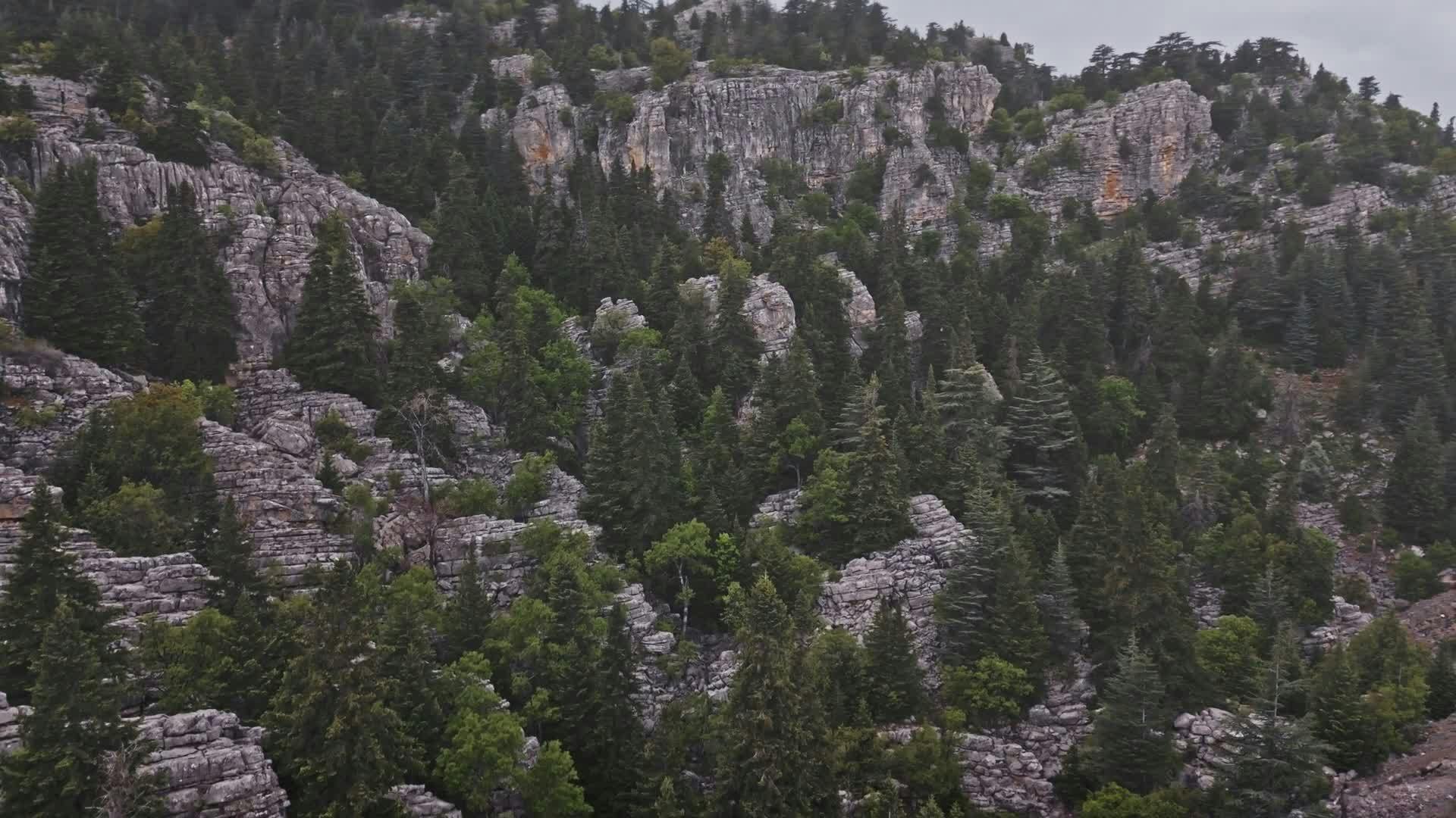4k Desktop Background Videos, Download The BEST Free 4k Stock Video ...