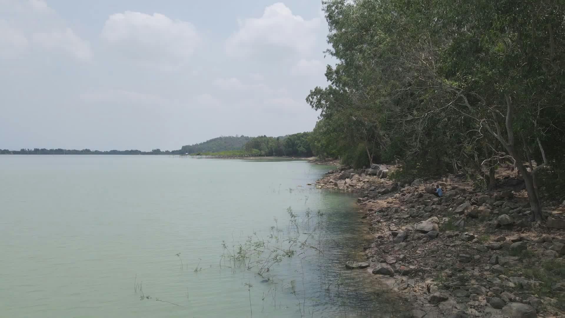 Serene Lakeside View with Lush Greenery Free Stock Video Footage ...