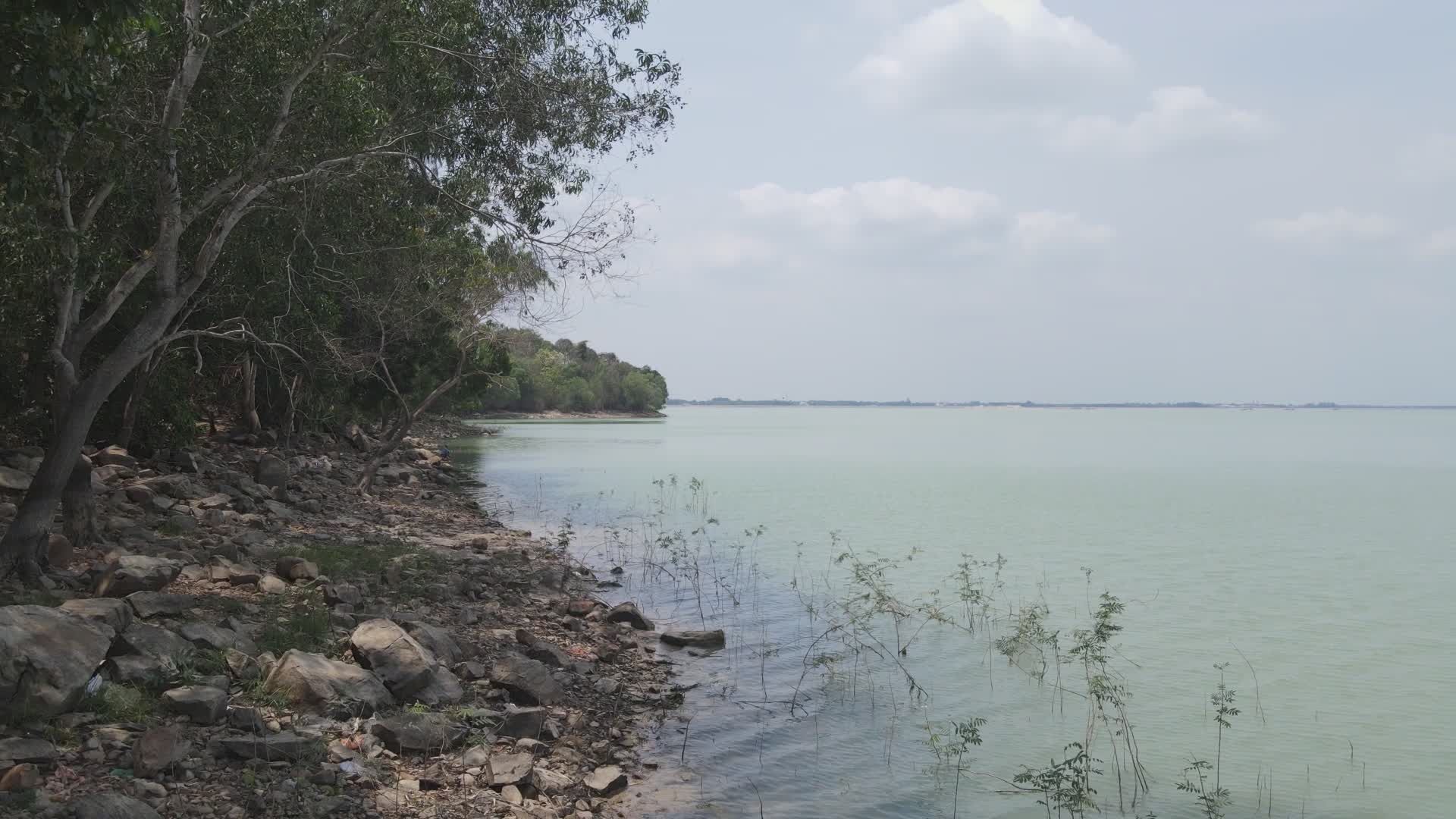 Serene Lakeshore View with Calm Waters Free Stock Video Footage ...