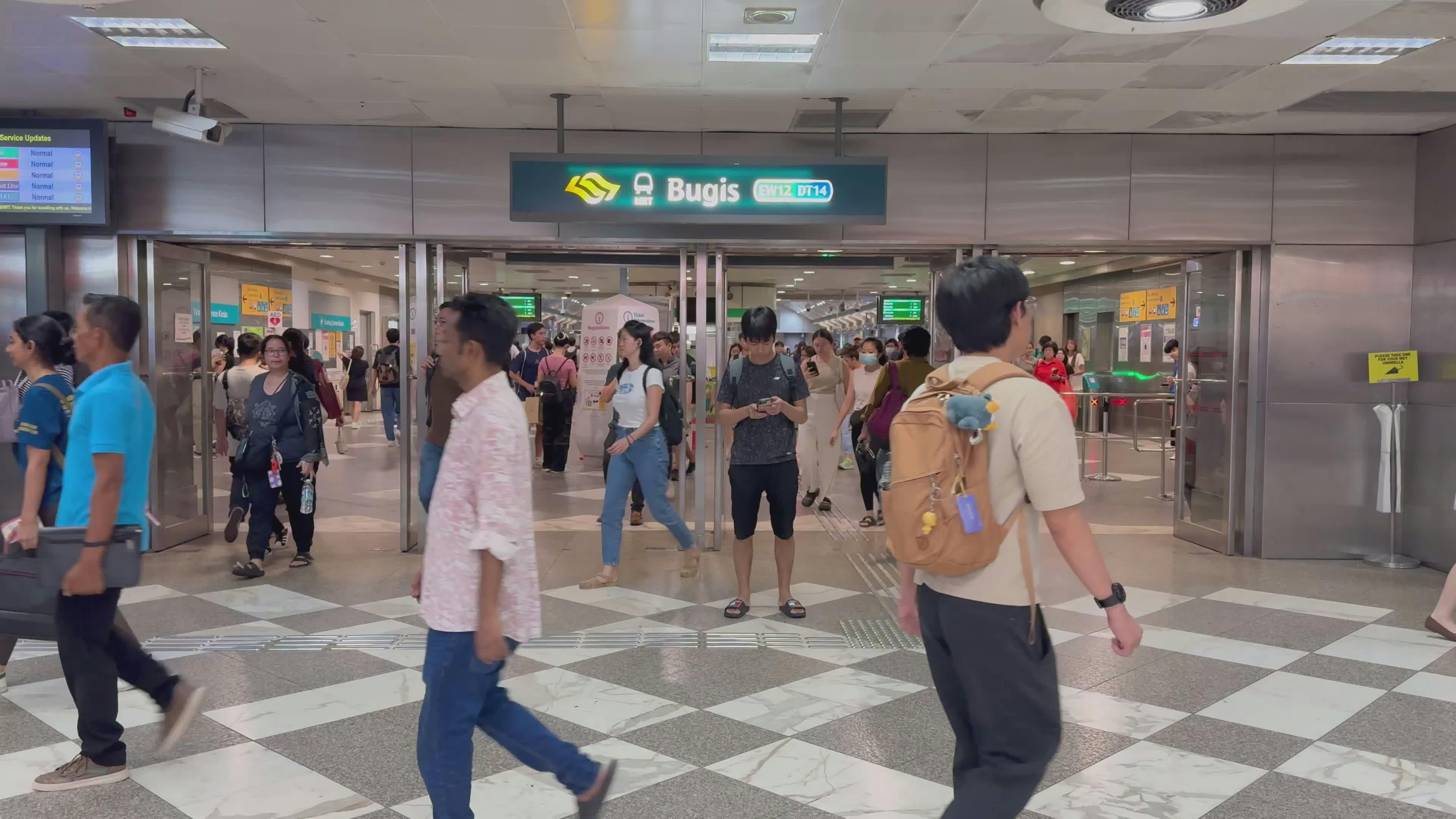 Panda Hub Videos, Download The BEST Free 4k Stock Video Footage & Panda ...