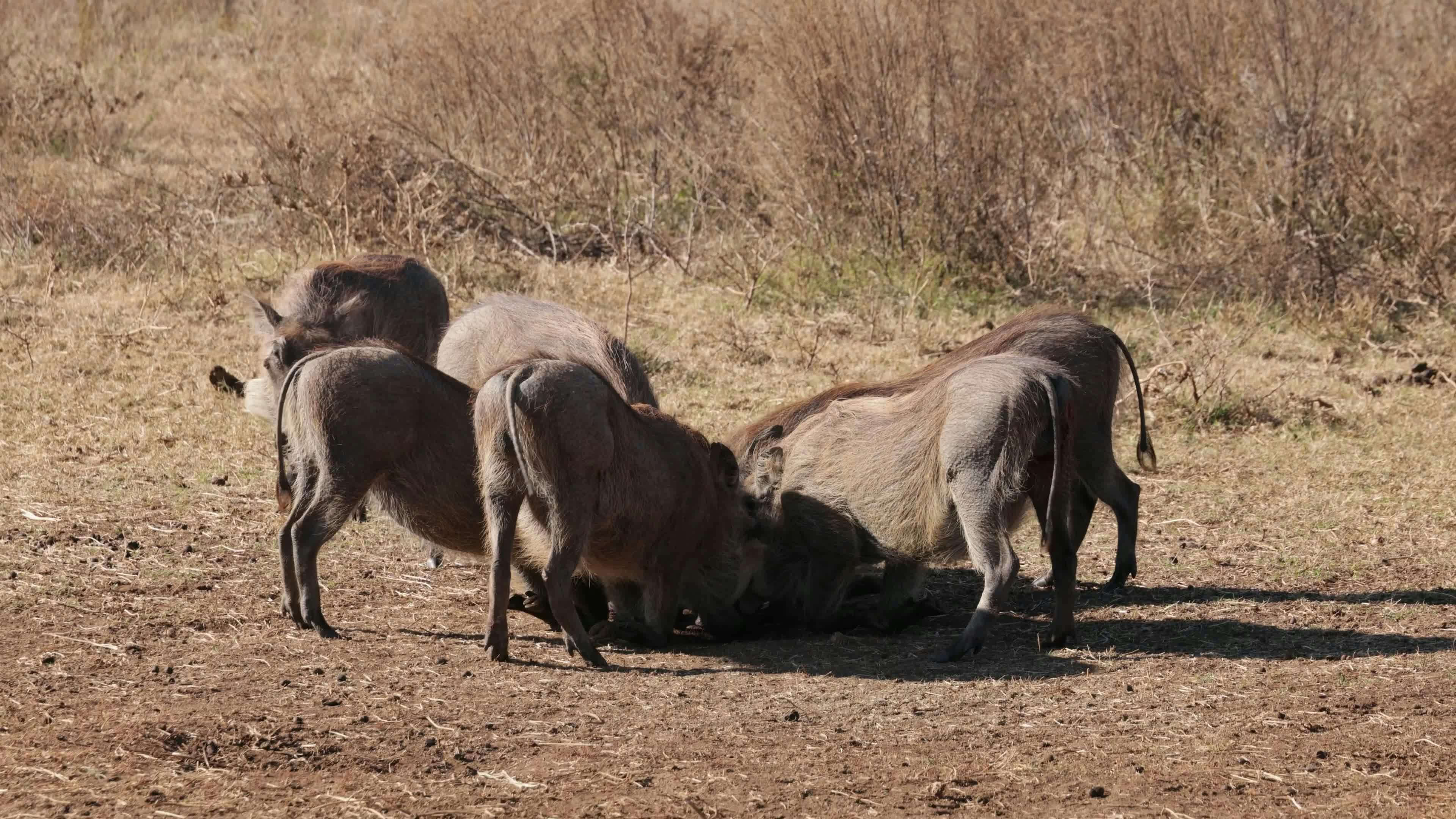 Level Set Method Videos, Download The BEST Free 4k Stock Video Footage ...