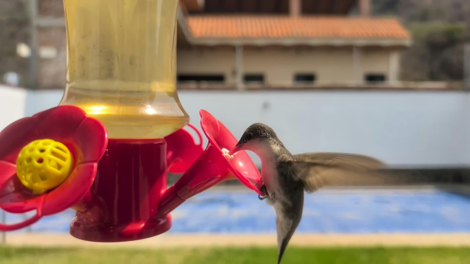 Irrational Behavior Videos, Download The BEST Free 4k Stock Video ...