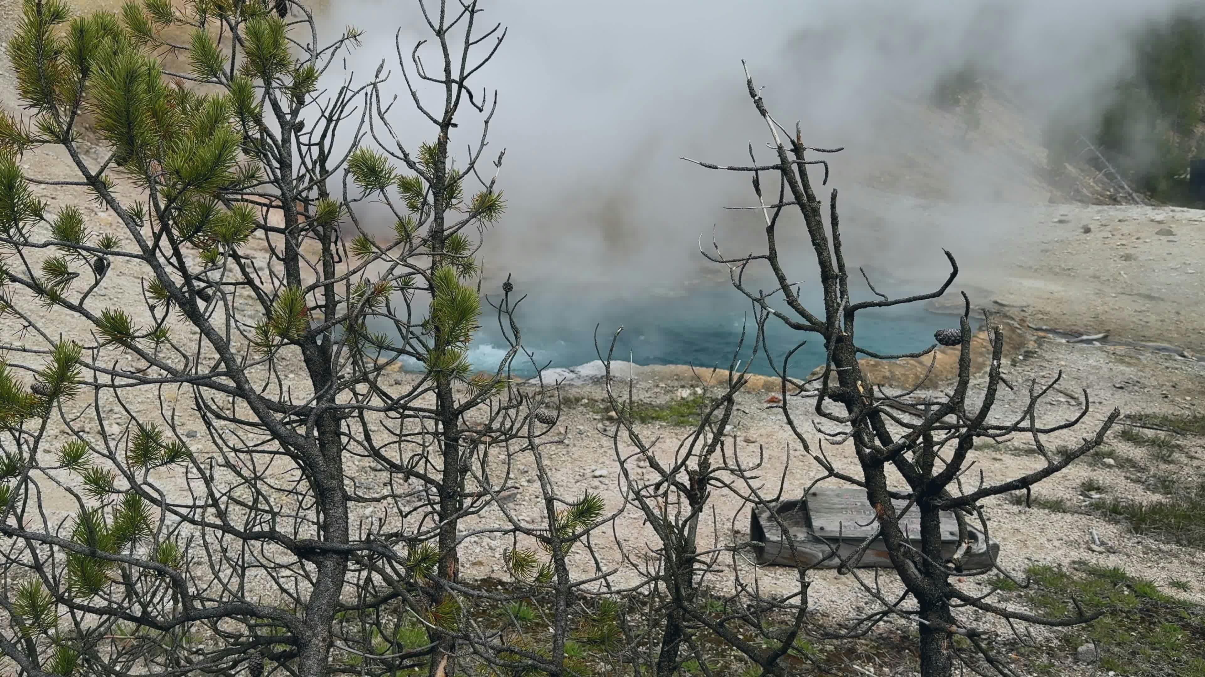 Steaming Geyser in Scenic Natural Setting Free Stock Video Footage ...
